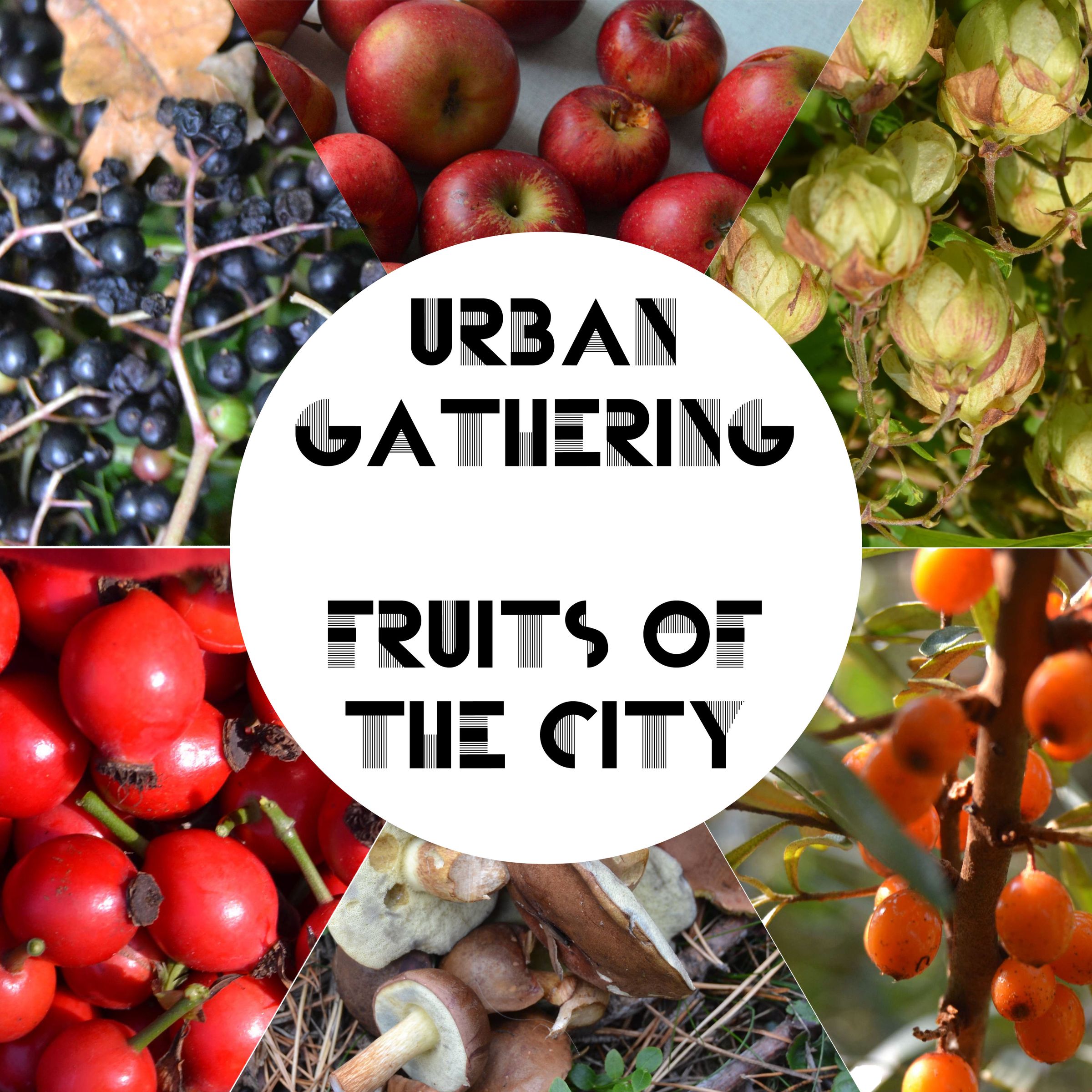 Urban Gathering - Fruits of the City : 17 Steps (with Pictures ...