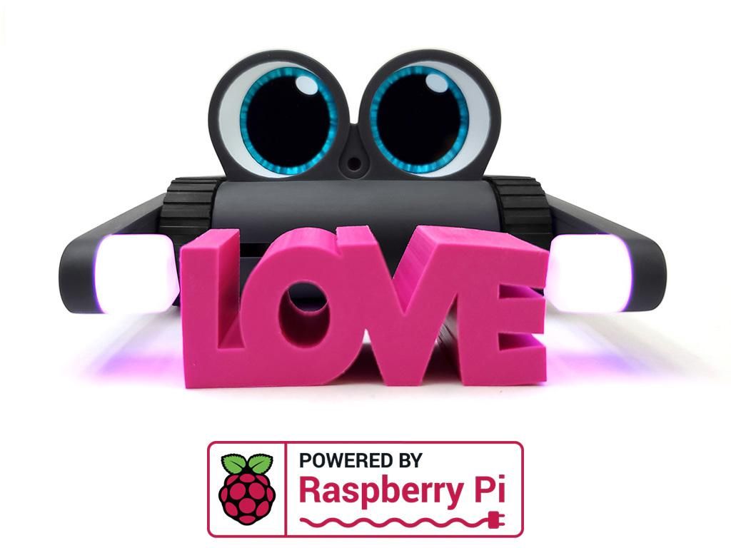 DIY Doly - a Companion Robot Powered by Raspberry Pi : 8 Steps (with ...
