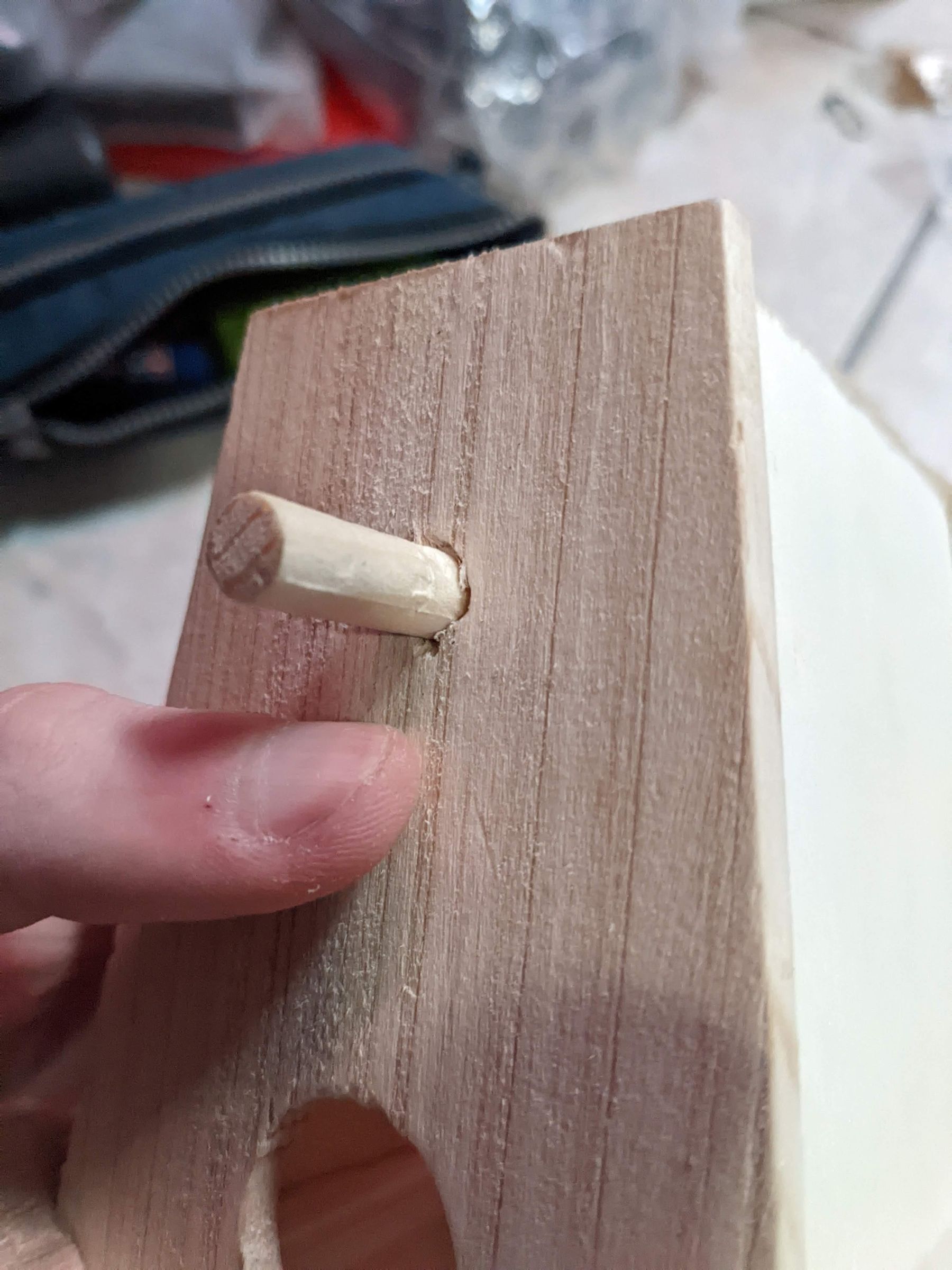 The "Rare Vogel" Birdhouse Controller : 11 Steps (with Pictures ...