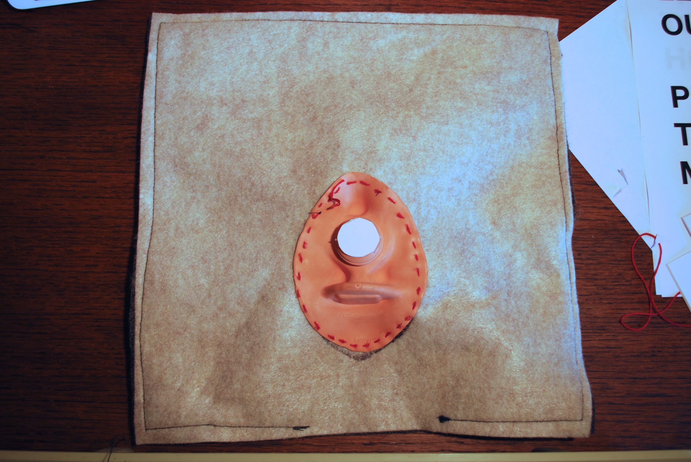 Make-Out Practice Pillow for Valentine's Day : 5 Steps (with Pictures ...