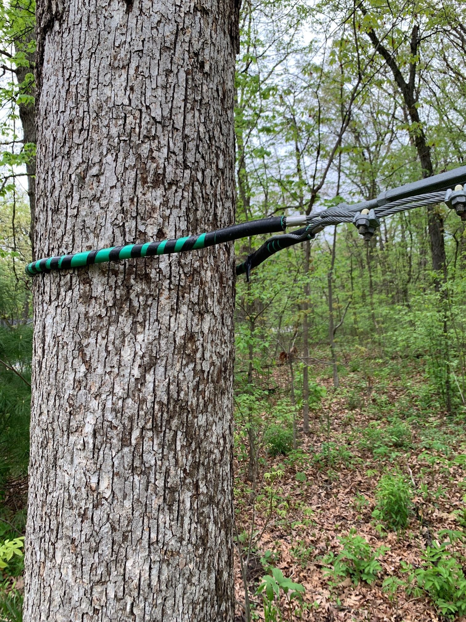 Extreme Backyard Zipline : 6 Steps (with Pictures) - Instructables