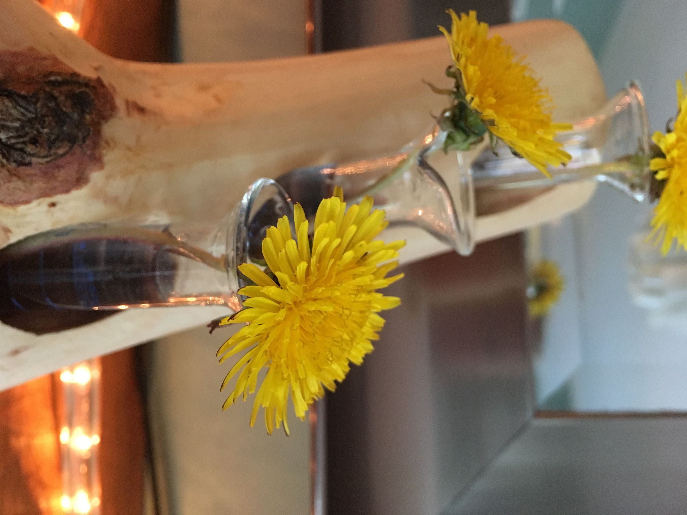 Dandelion Vase : 8 Steps (with Pictures) - Instructables