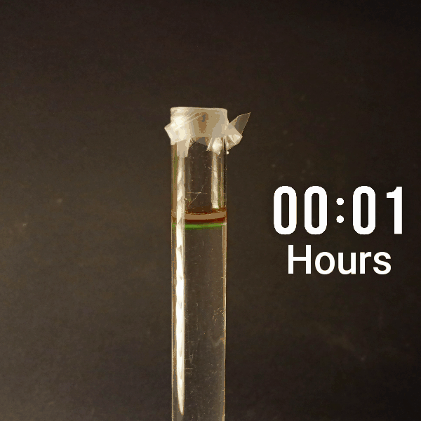 Real Diffusion Experiment (for Home or School) : 8 Steps (with Pictures ...