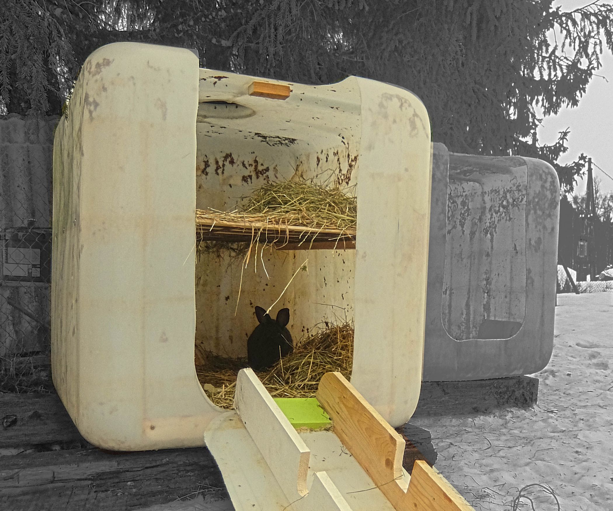 IBC Container Rabbit Hutch : 8 Steps (with Pictures) - Instructables
