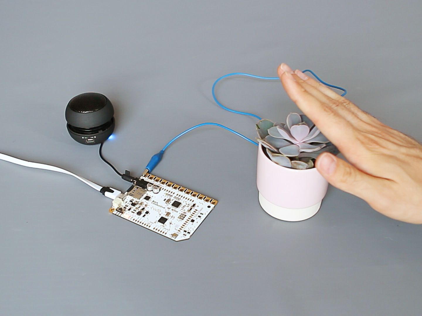 Talking Plants : 5 Steps - Instructables