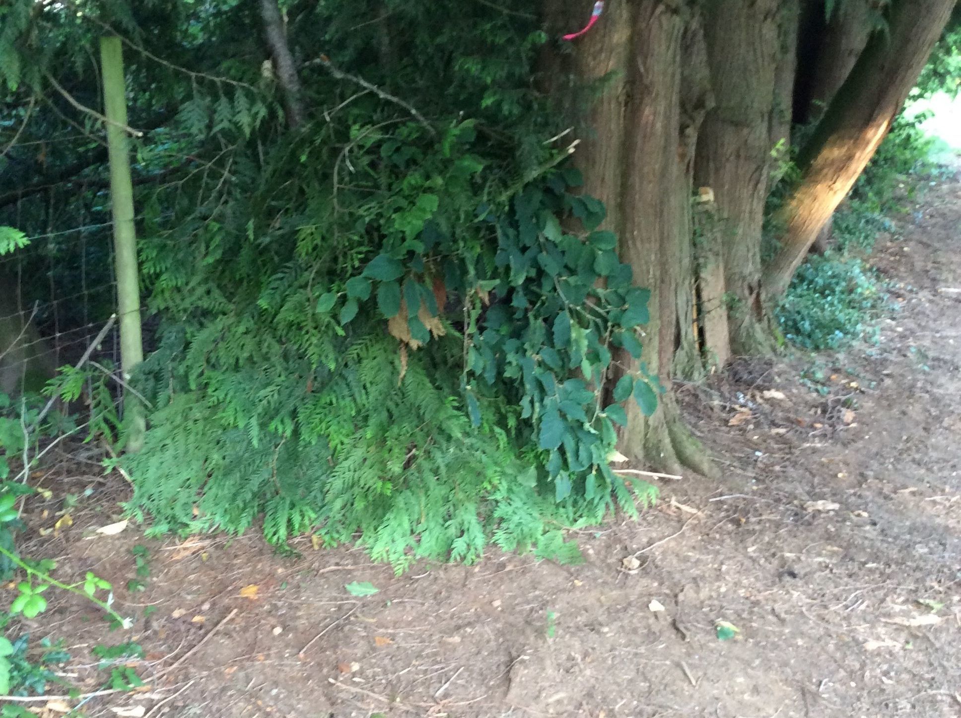 Multi Use Fort / Survival Shelter : 5 Steps - Instructables