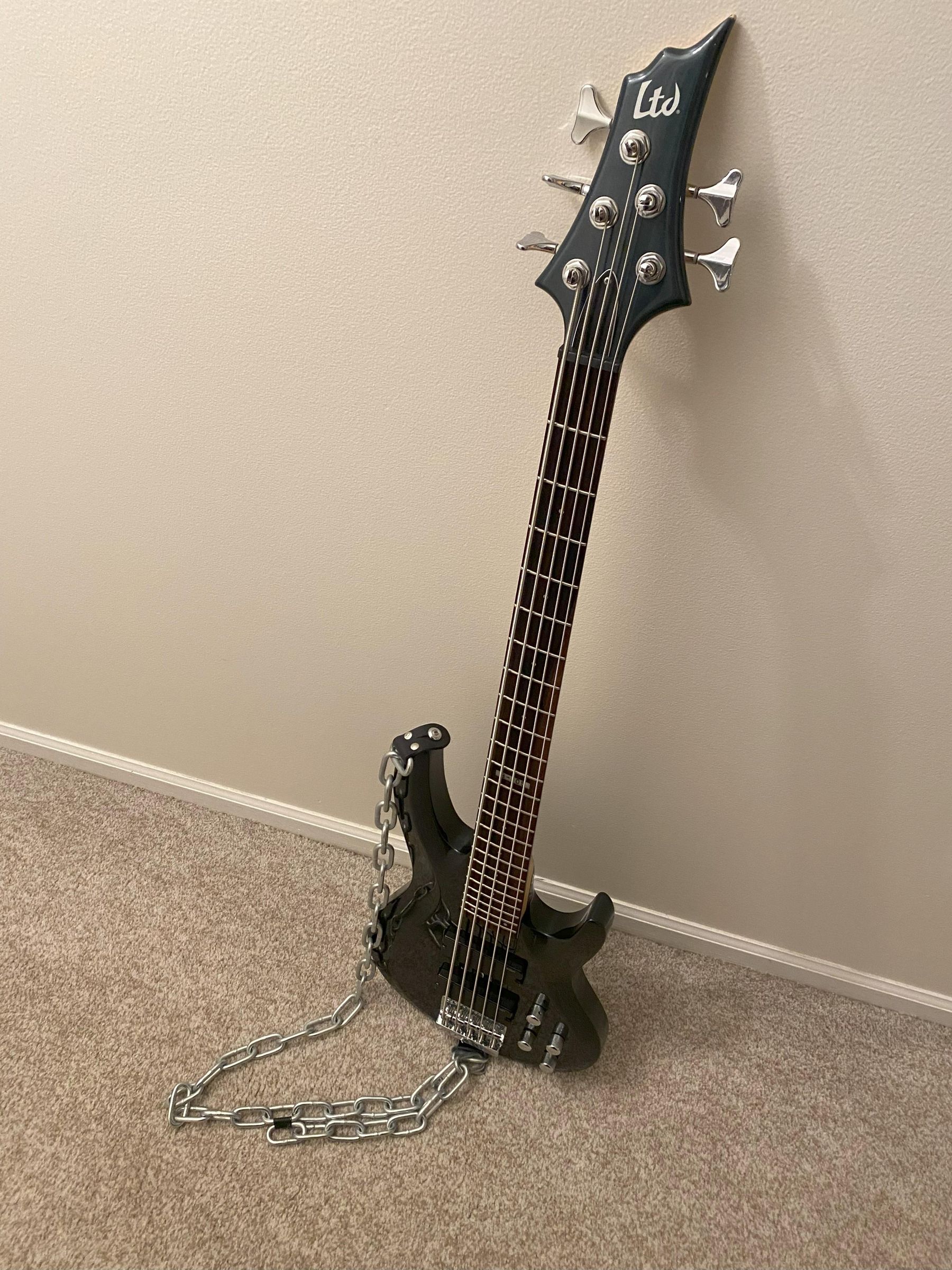 Bass Care 101: the Complete Guide to Basic Bass Care and Maintenance ...