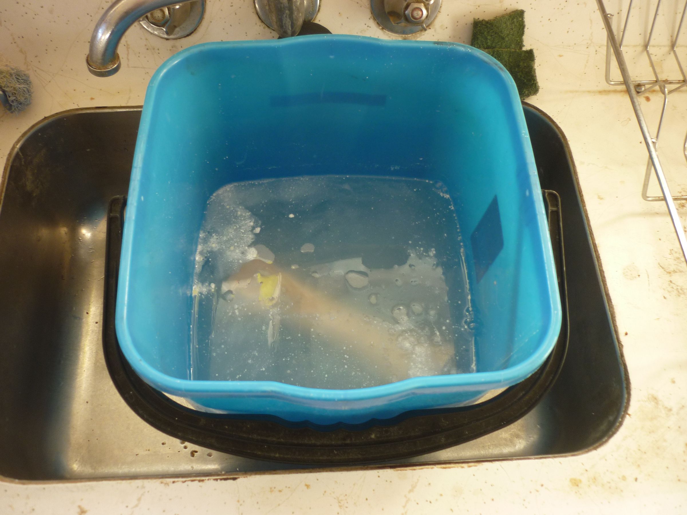 Prepare Bone for Carving : 8 Steps - Instructables