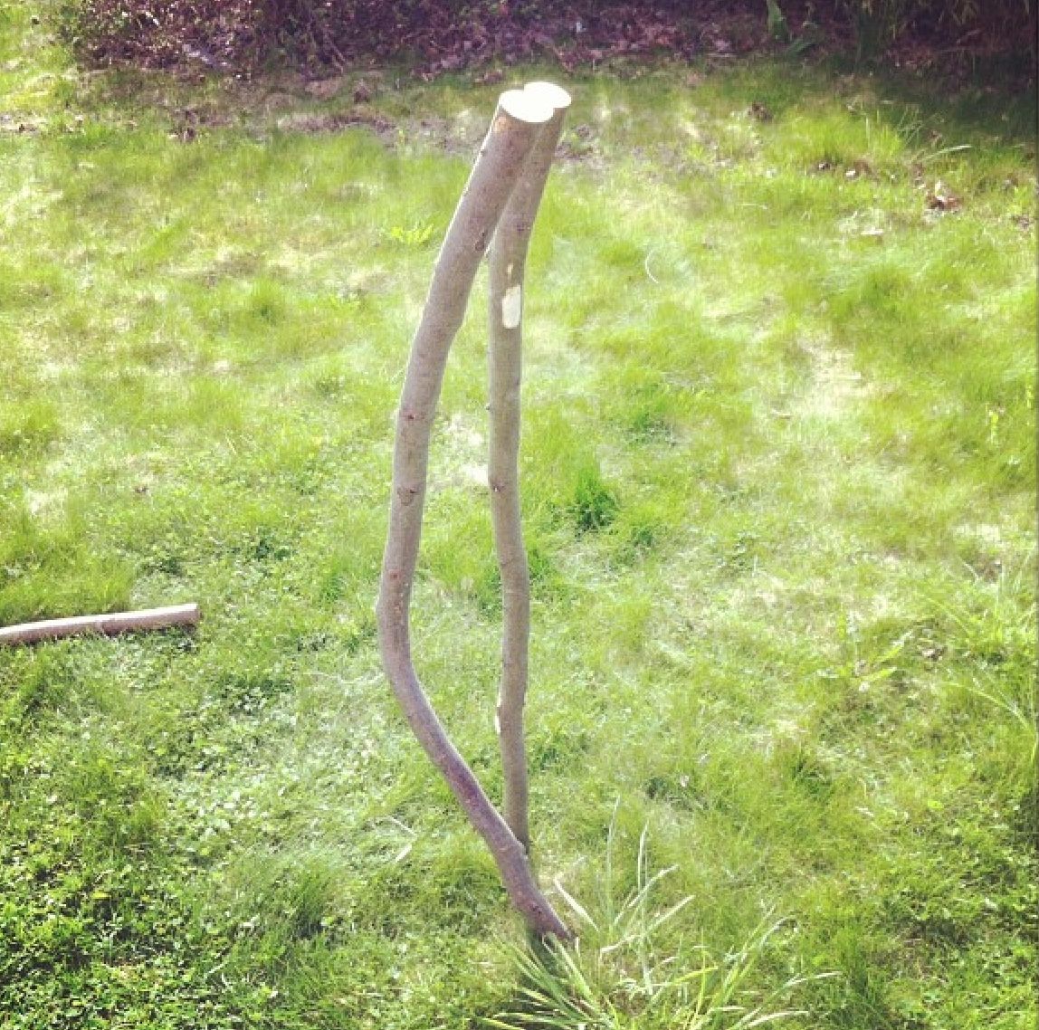Trash Bird : 8 Steps (with Pictures) - Instructables