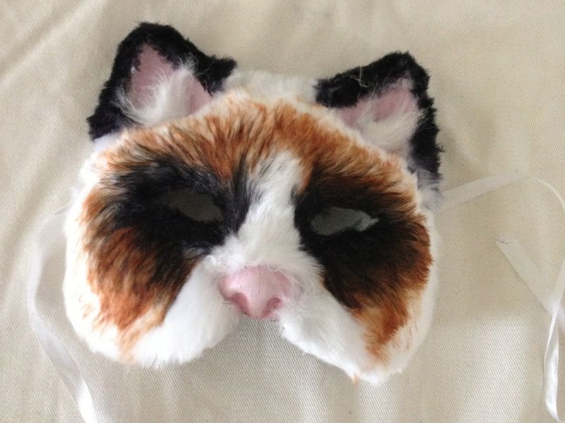 Grumpy Cat Halloween Makeup