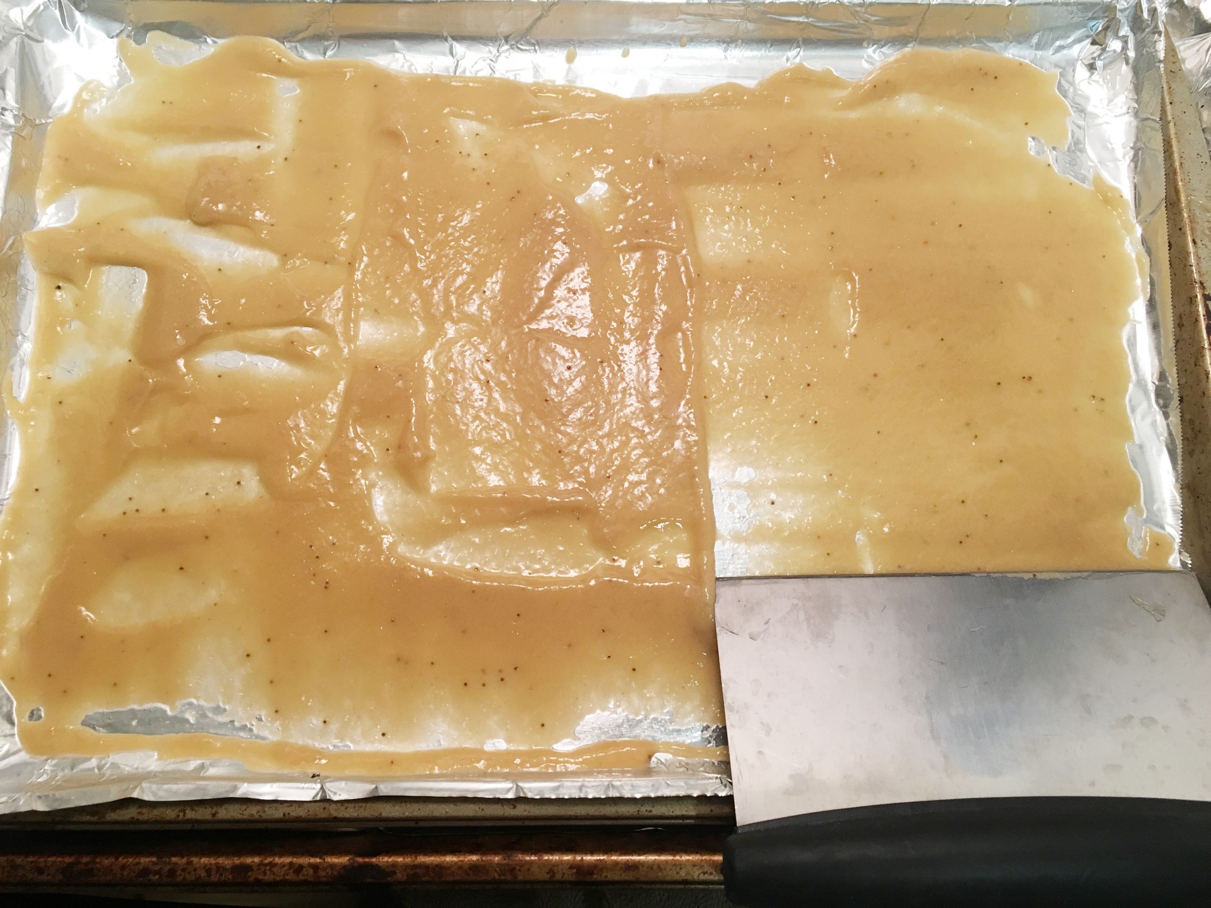 Banana Fruit Leather : 6 Steps - Instructables