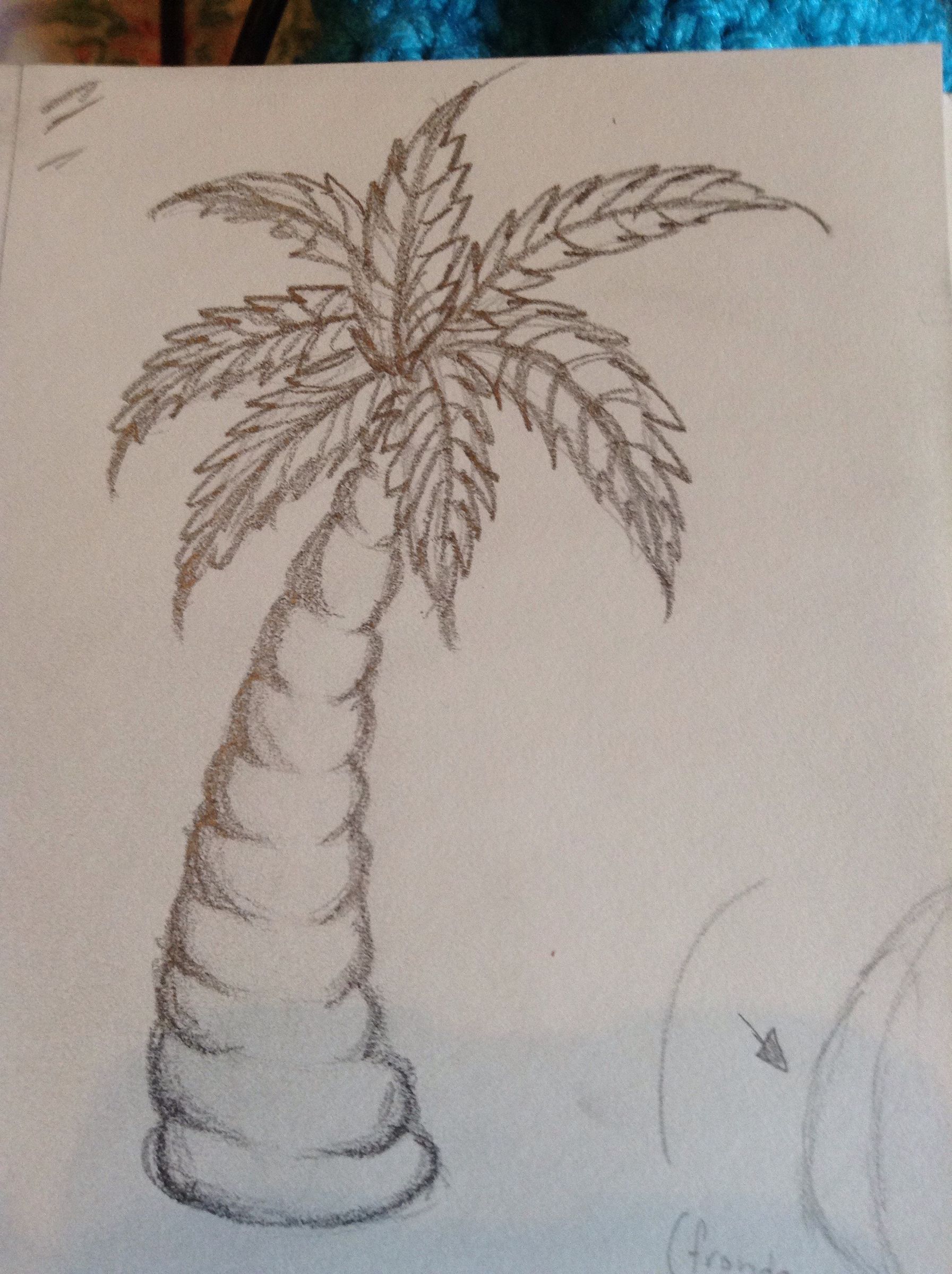 How to Draw a Palm Tree : 6 Steps - Instructables