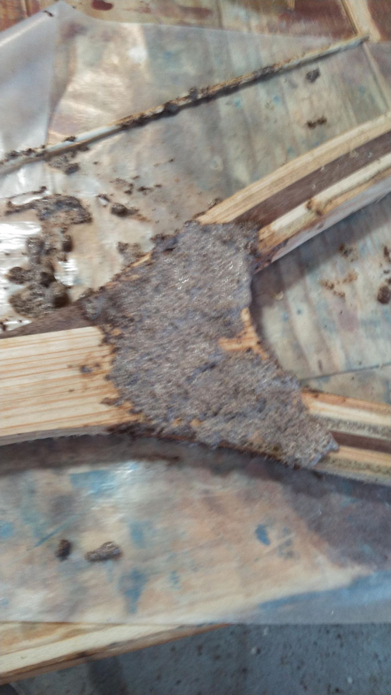 Bent Wood Boat Net : 11 Steps (with Pictures) - Instructables