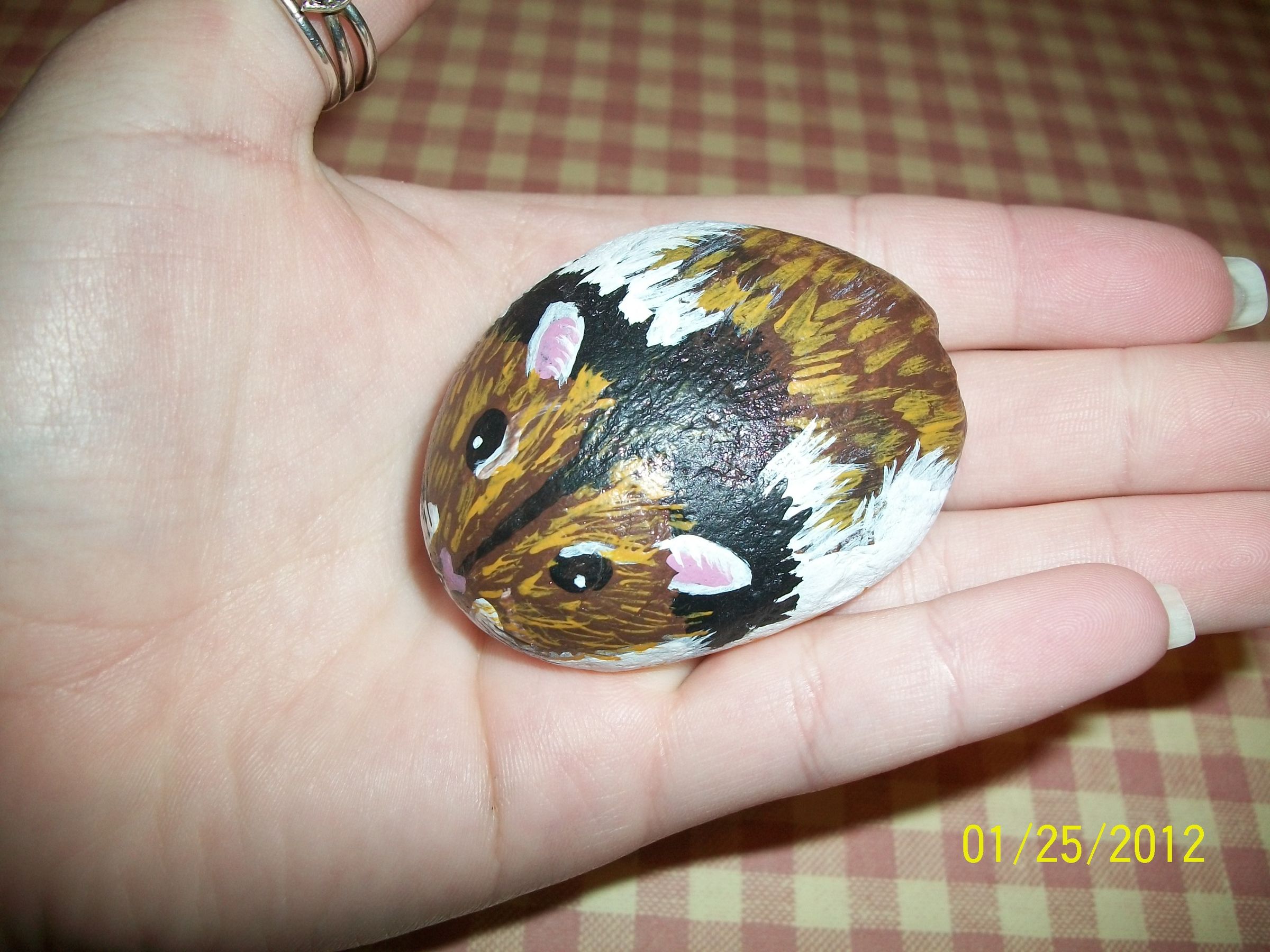 Painted Hamster Rock - Instructables