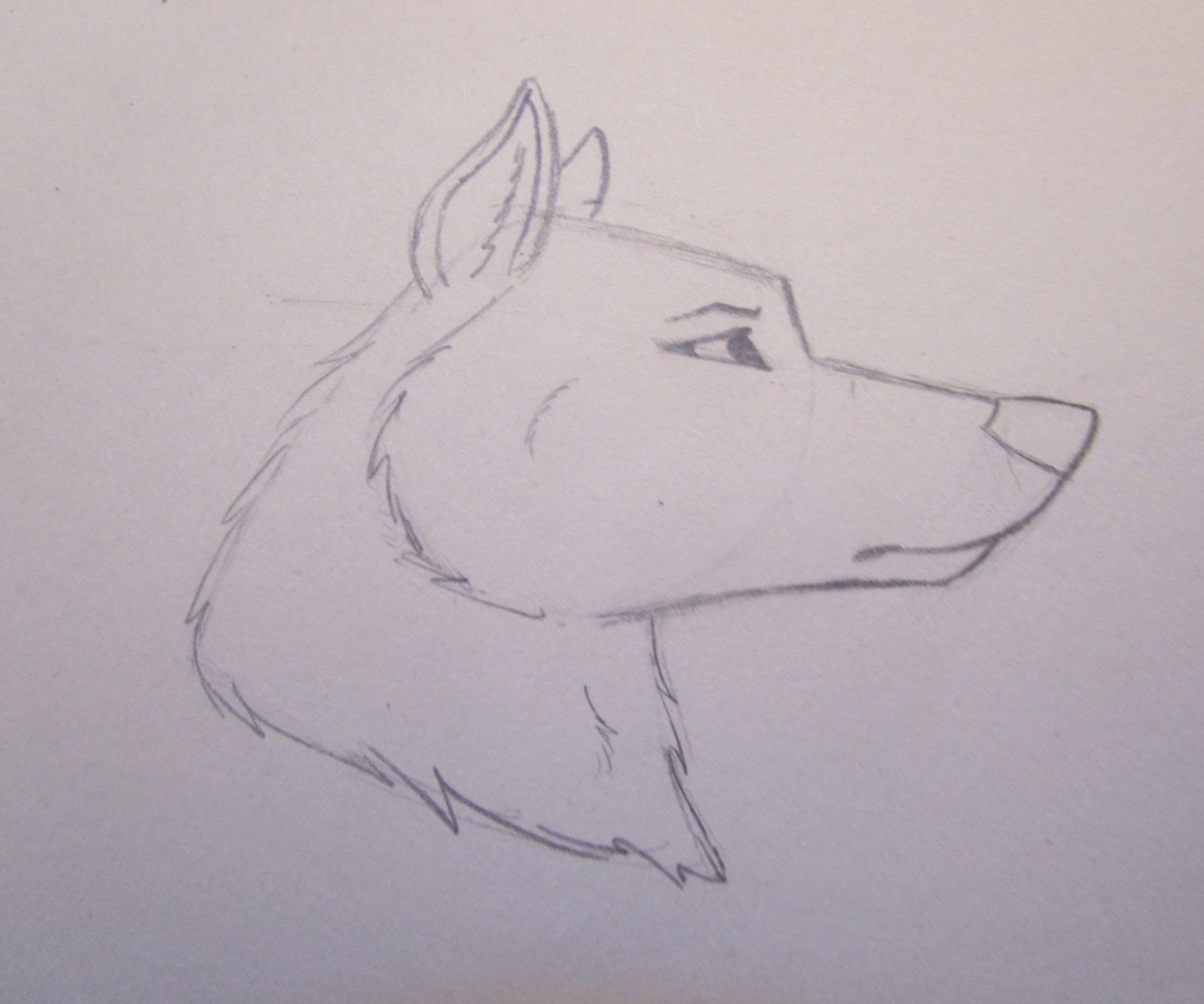 How to Draw a Wolf Head : 15 Steps - Instructables
