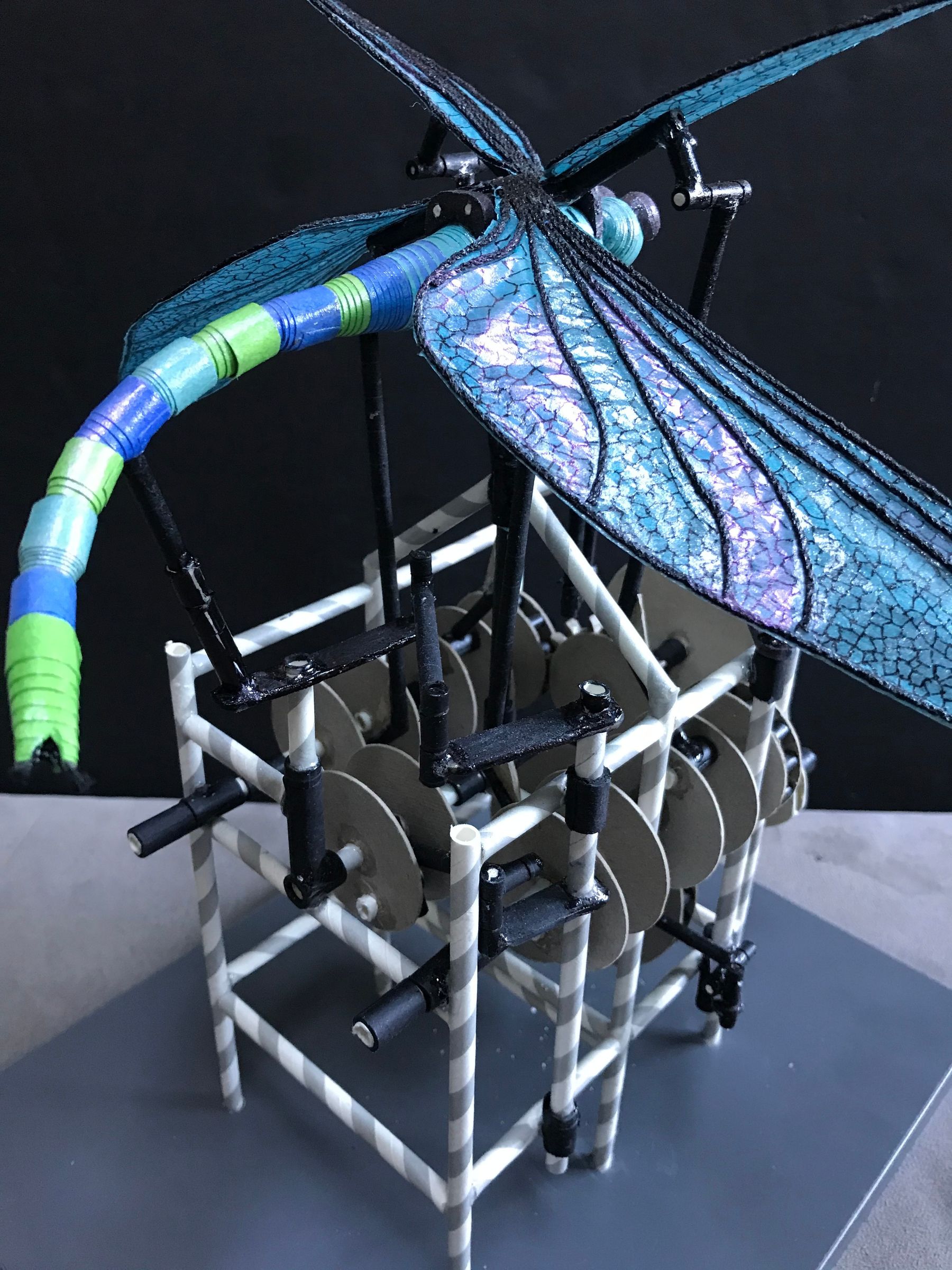 Paper Animatronic Dragonfly : 11 Steps (with Pictures) - Instructables