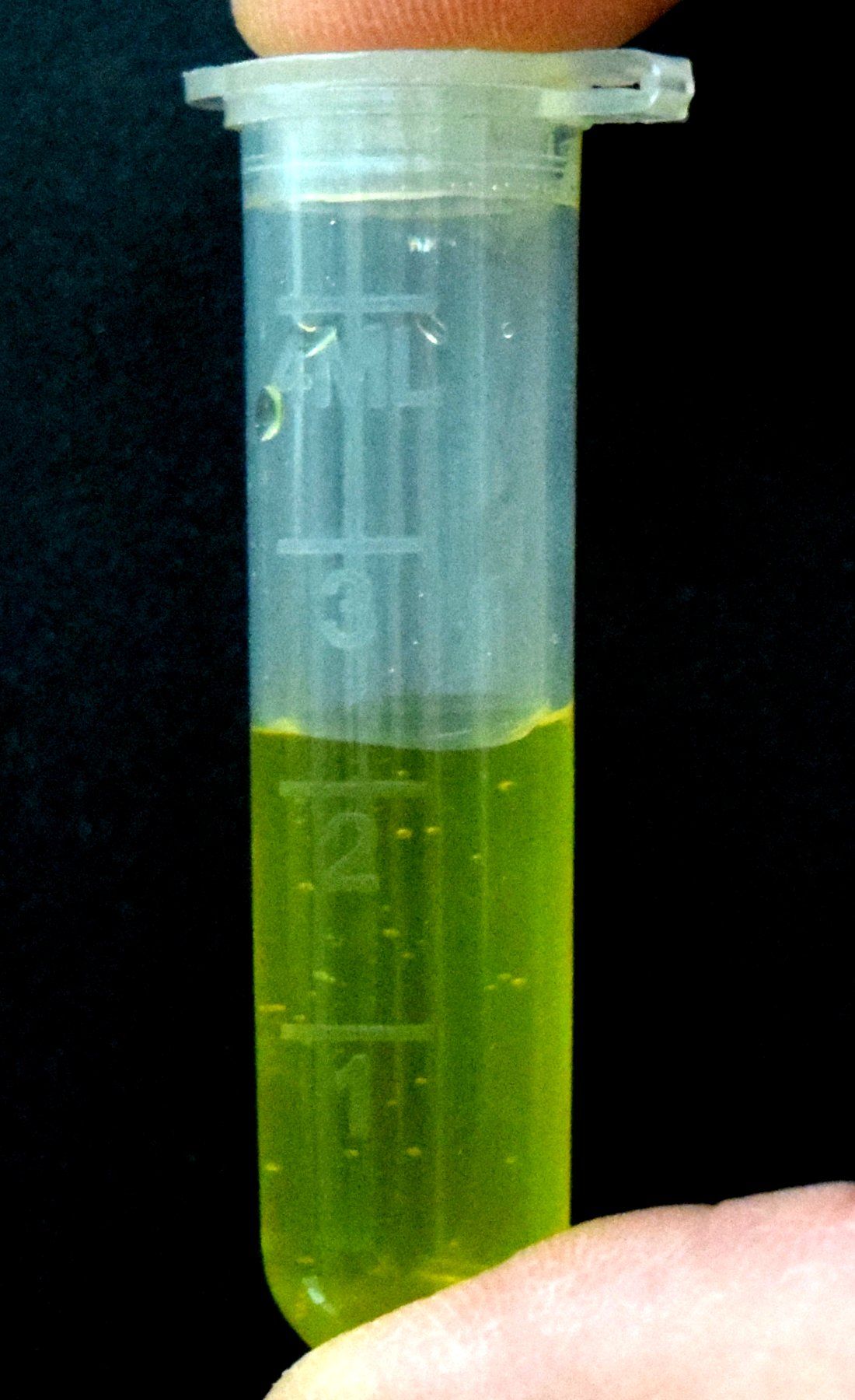 Measure Nitrate Concentration in Water With EOS 1 : 13 Steps ...