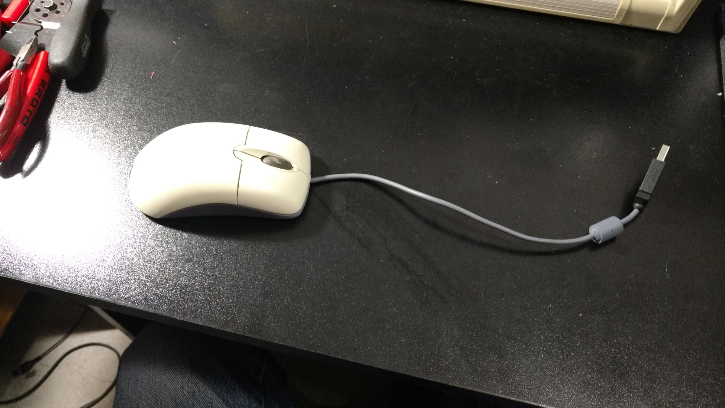 Shortening a Mouse's Tail : 5 Steps - Instructables
