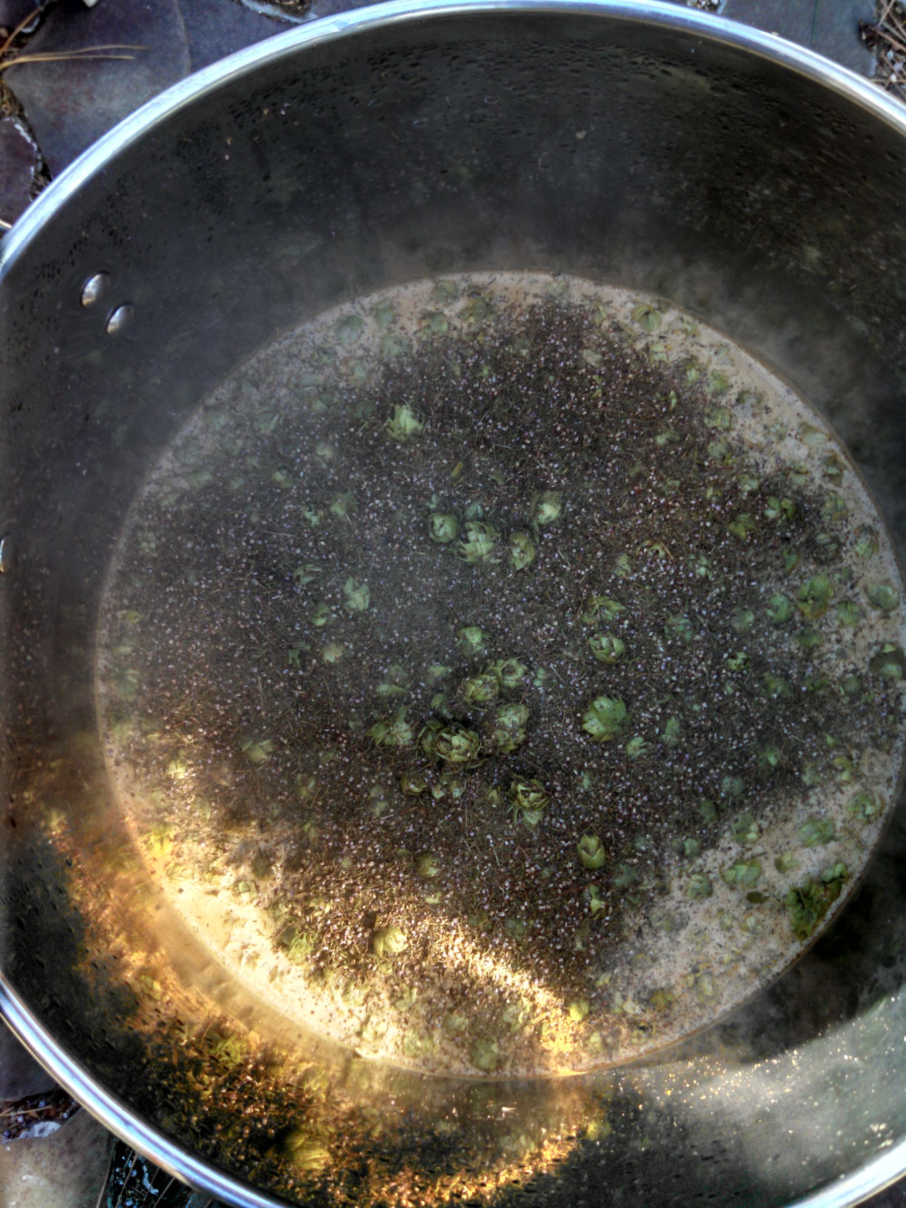Fresh Hop "Dry Hopping" Your Homebrew : 4 Steps (with Pictures ...