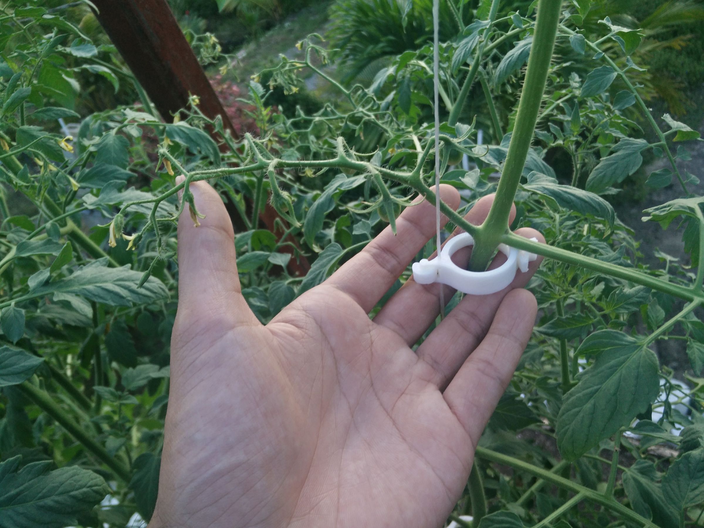 3D Printed Trellis Clip (designed in Fusion 360) : 5 Steps (with ...