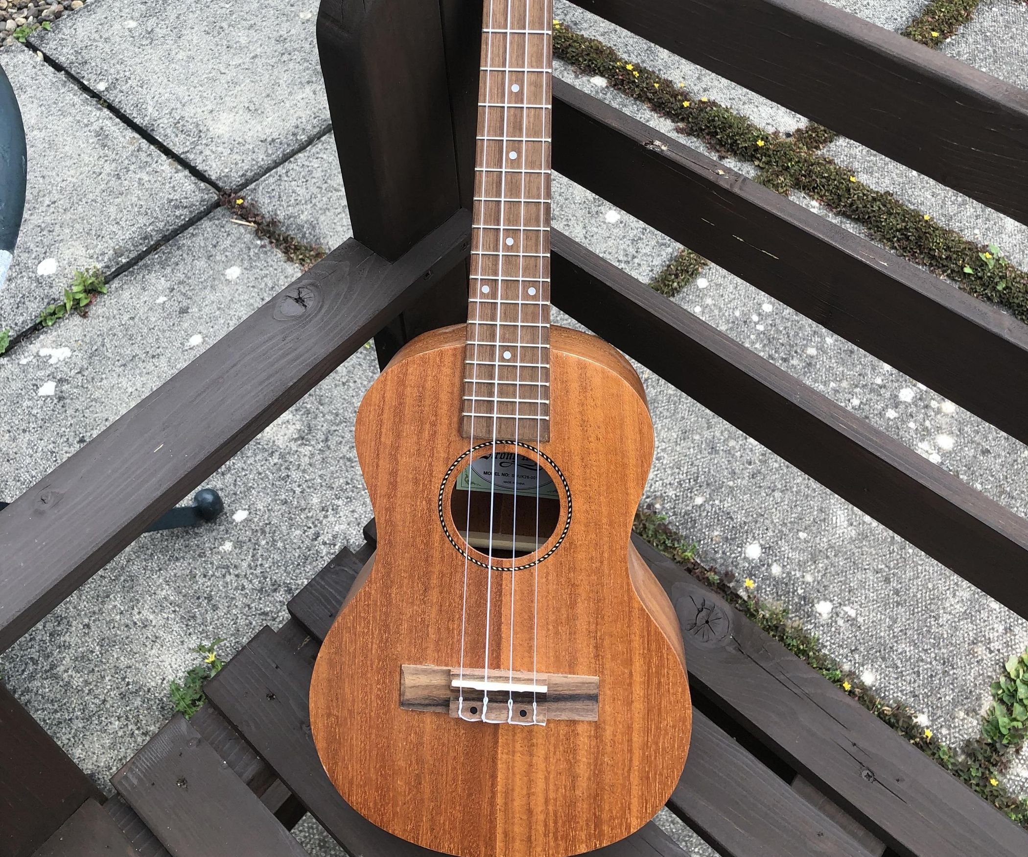 All Singing and Dancing Ukuled...e : 3 Steps (with Pictures ...