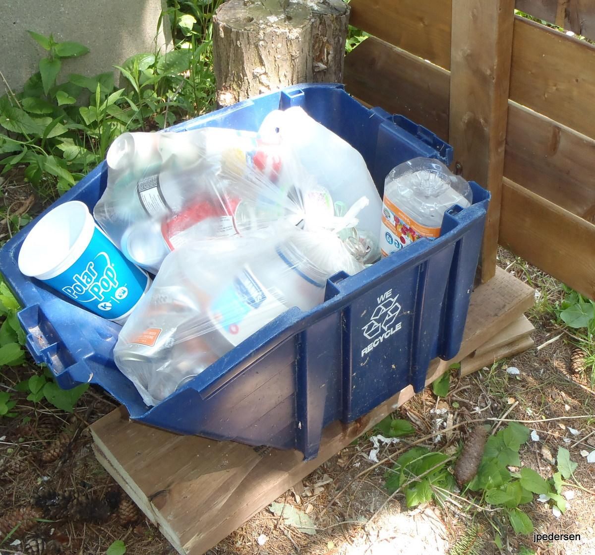 Tree Screen for Recycle Bin : 5 Steps (with Pictures) - Instructables