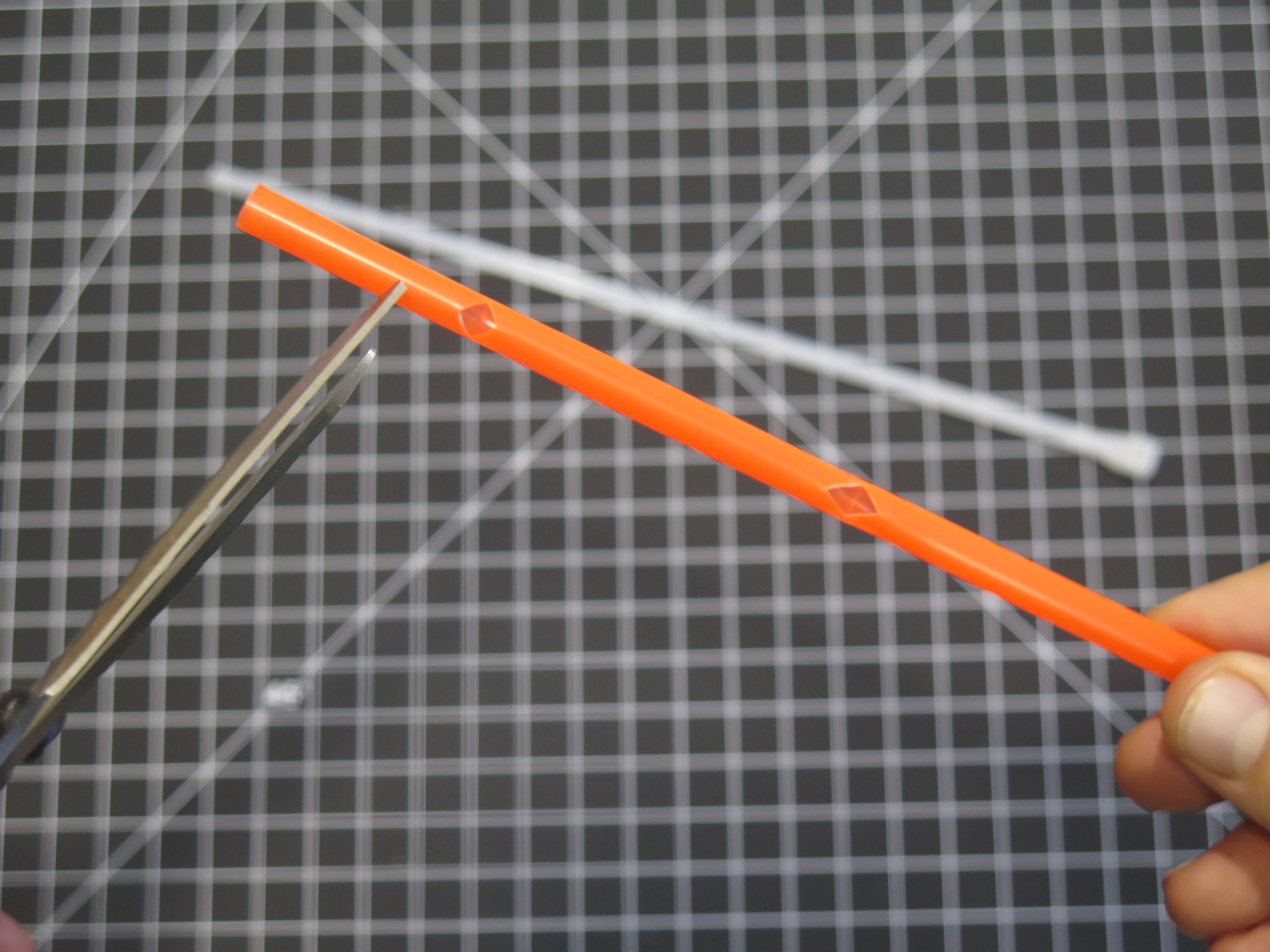 Chicken Foot Dissection : 7 Steps - Instructables