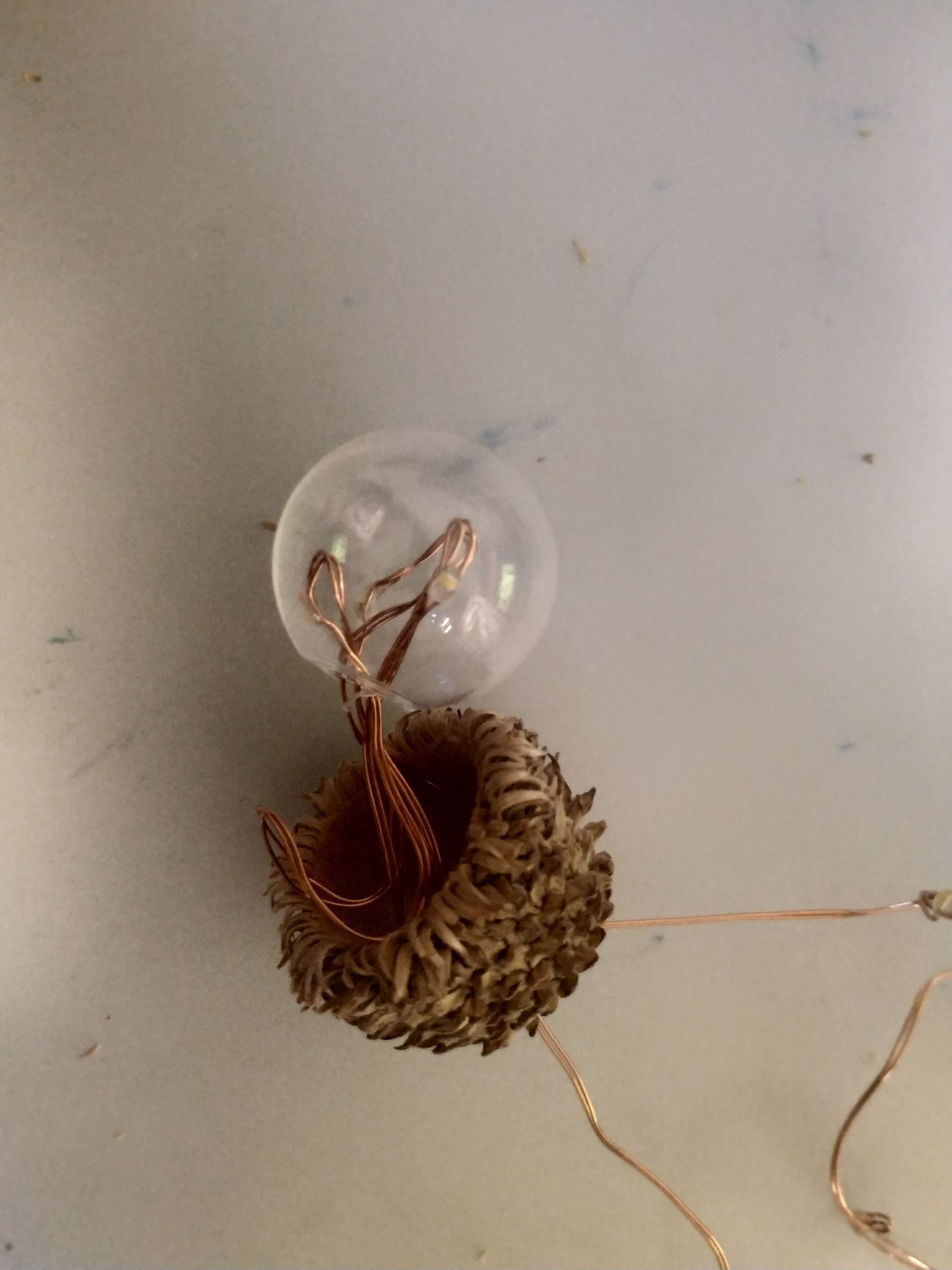 Tiny Acorn Light Bulbs!!! : 3 Steps (with Pictures) - Instructables