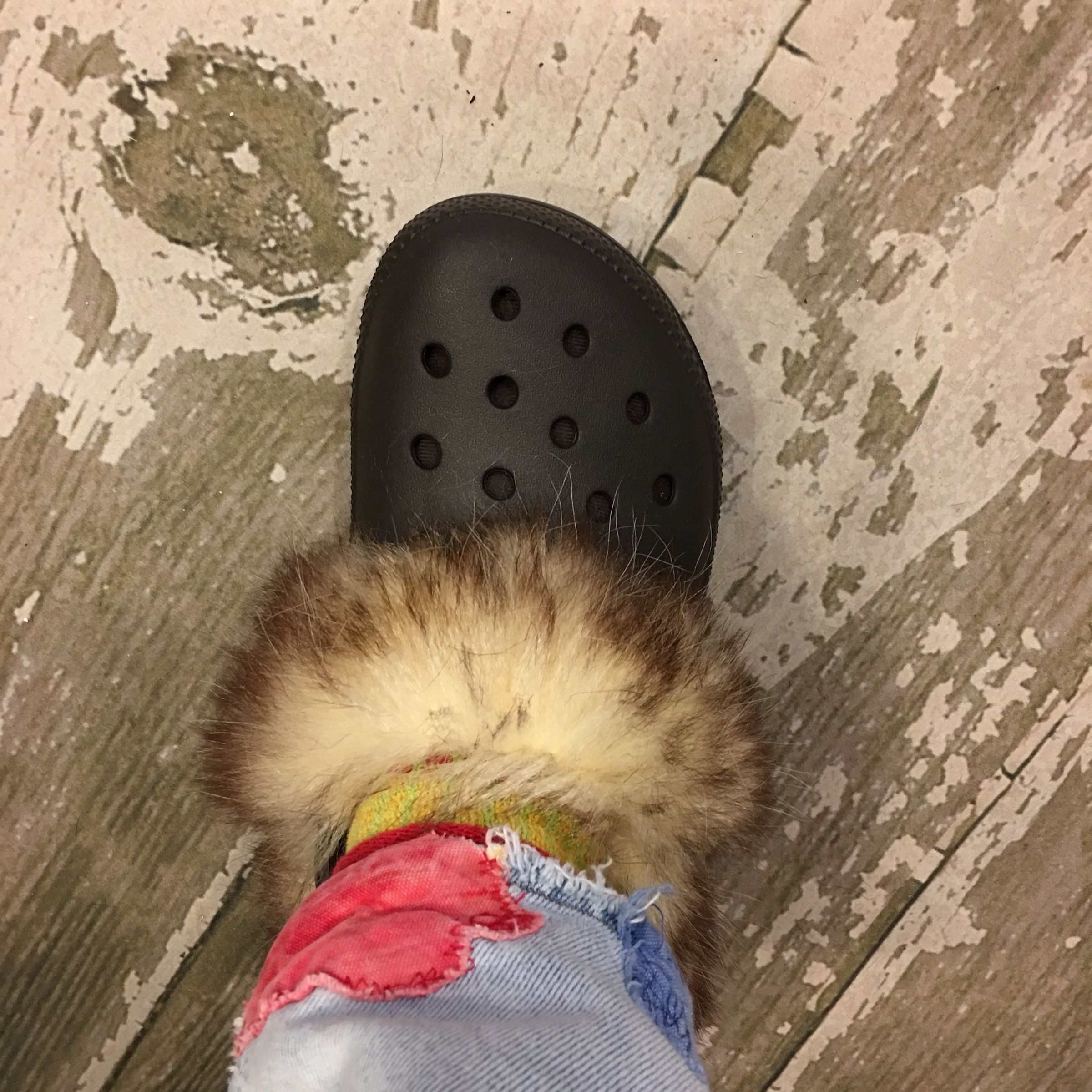 Fur Lined Crocs : 8 Steps (with Pictures) - Instructables