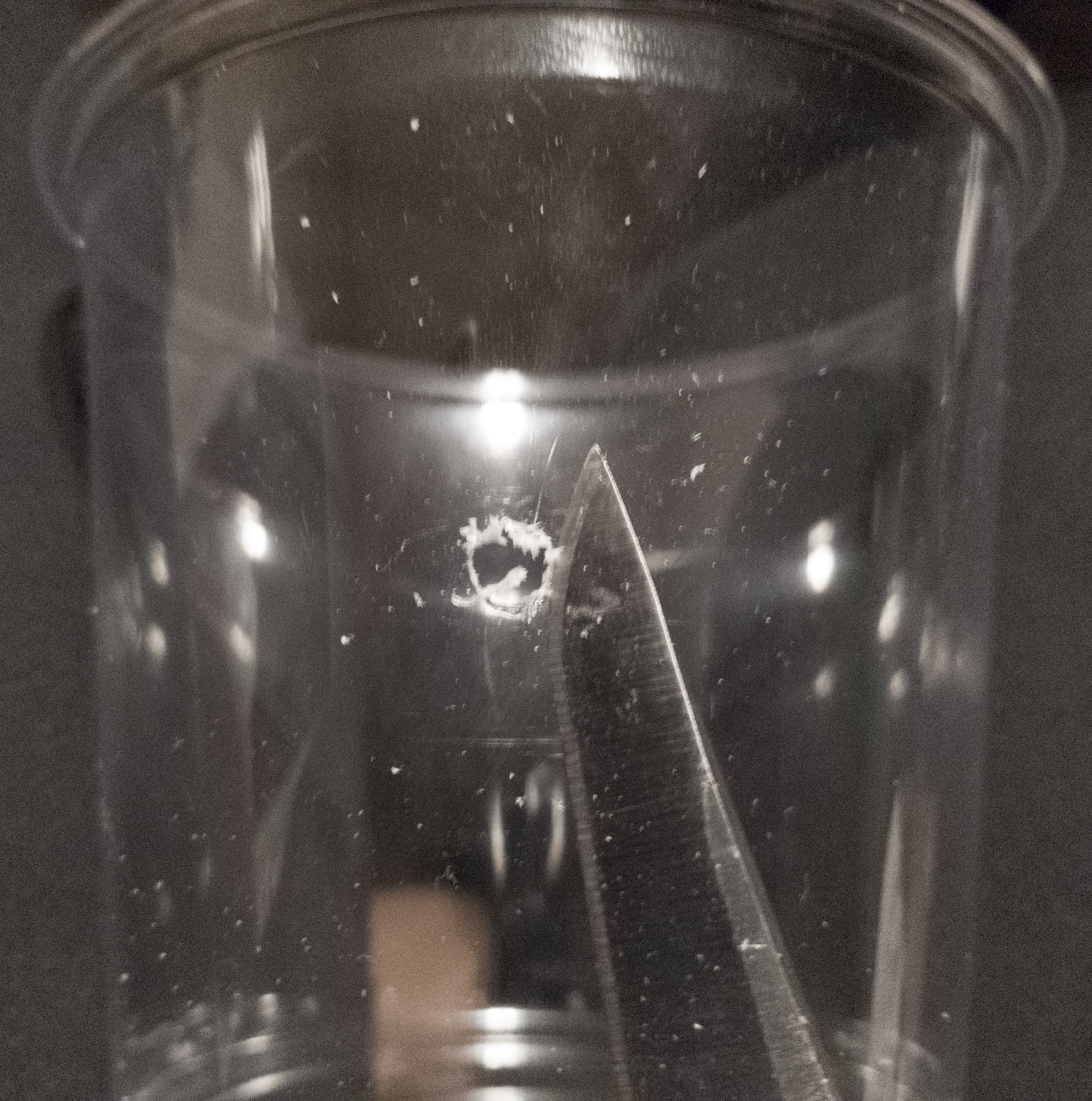 Perfect Praying Mantis Cups : 9 Steps (with Pictures) - Instructables