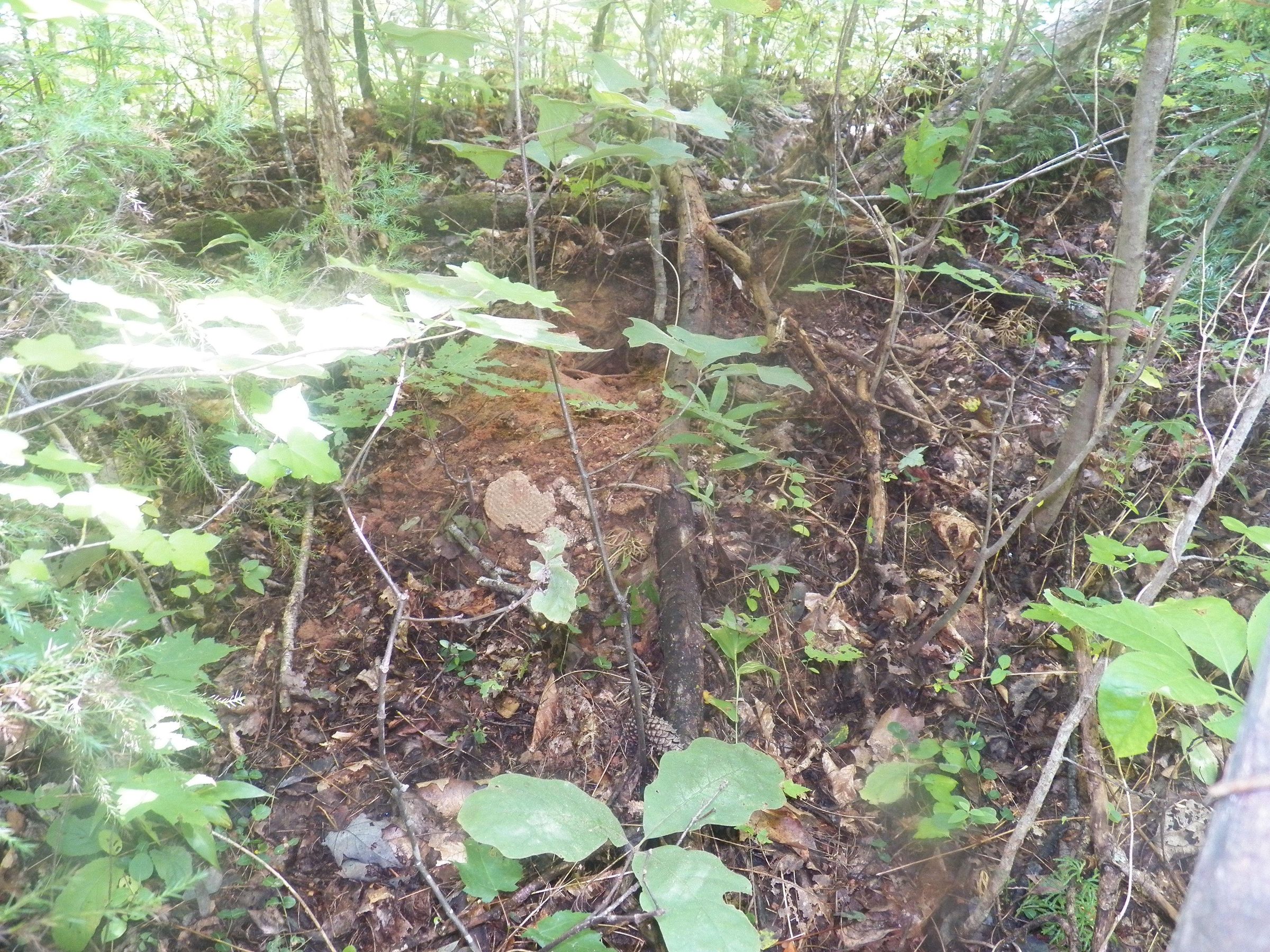 Tiny Underground Solar House : 14 Steps (with Pictures) - Instructables