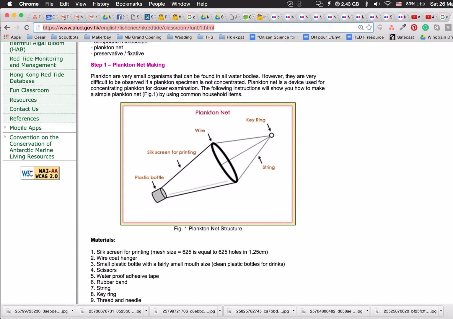 Plankton Net Diagram