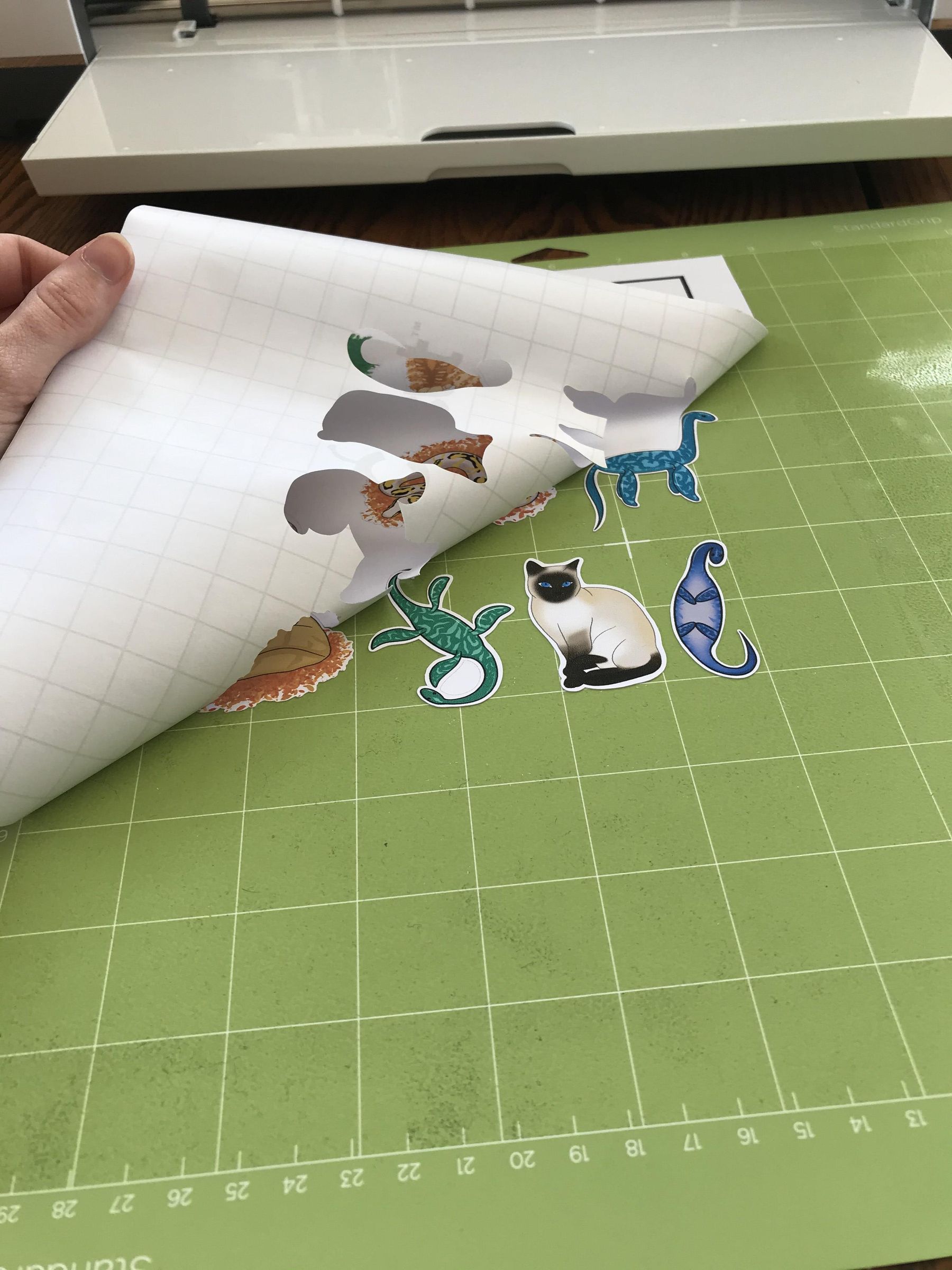 How to Dye Cut Print on a Cricut : 17 Steps (with Pictures) - Instructables