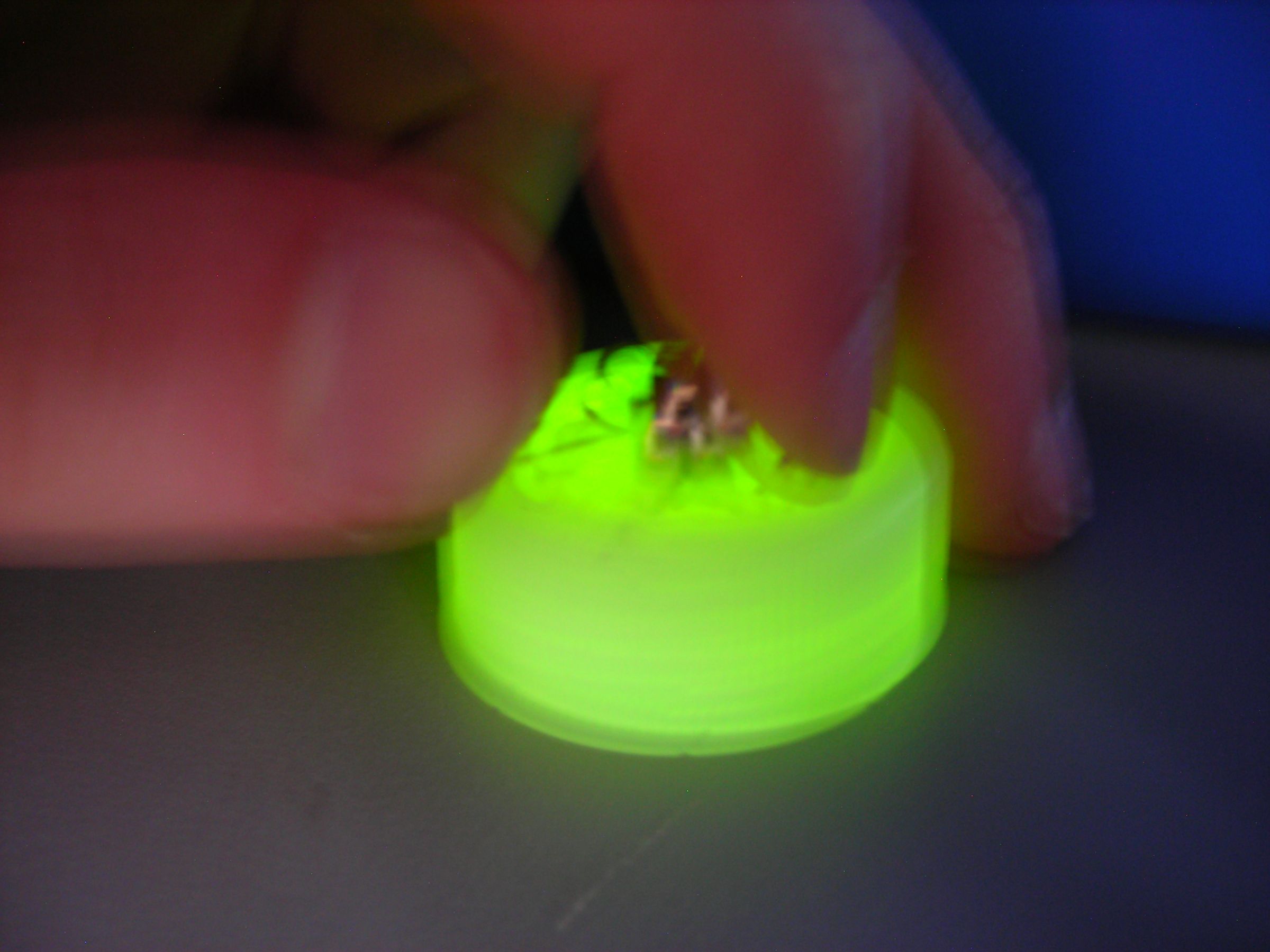 Bottle Cap Light : 3 Steps - Instructables