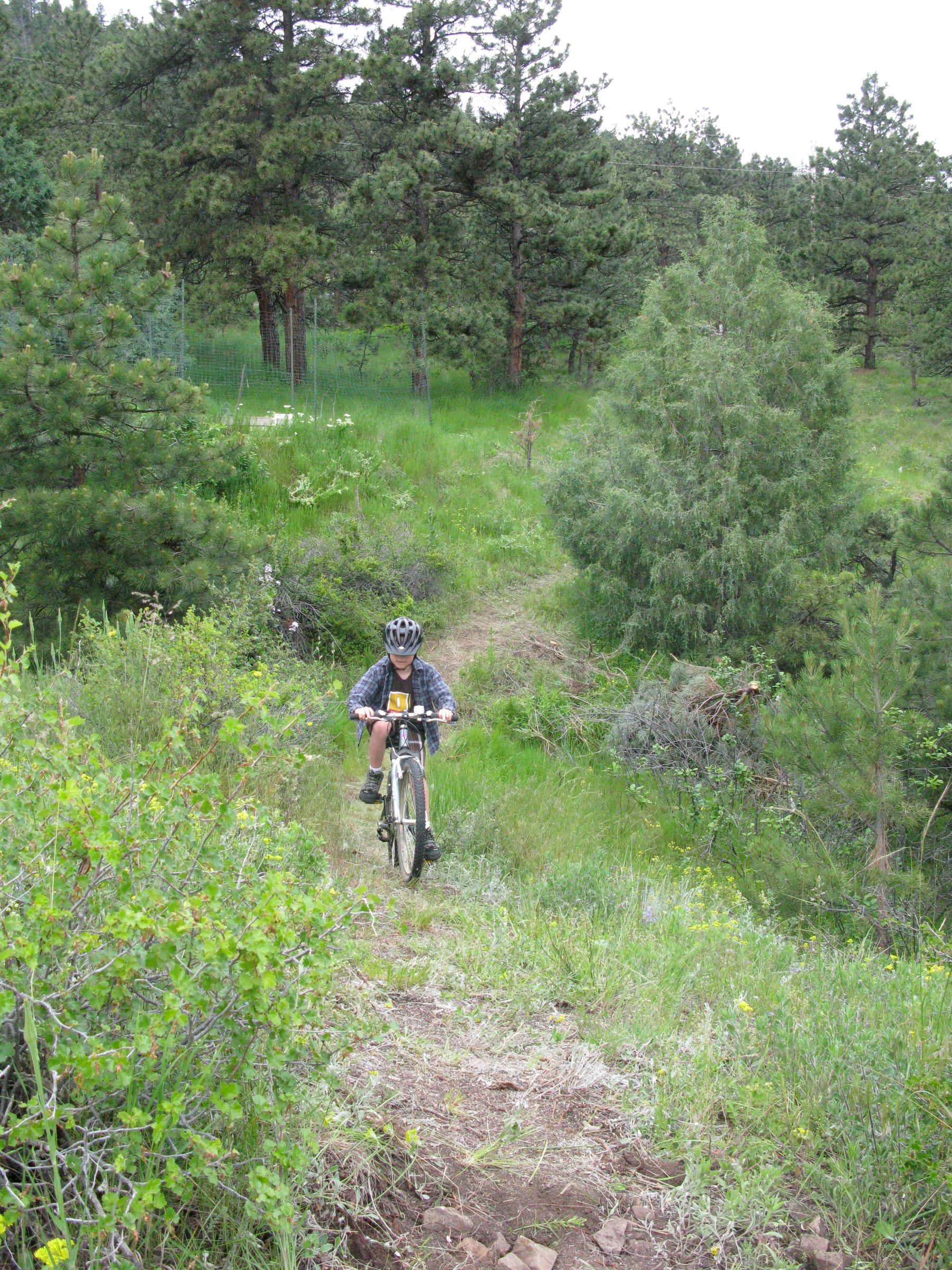 Bulid a Mountain Bike Trail : 7 Steps - Instructables