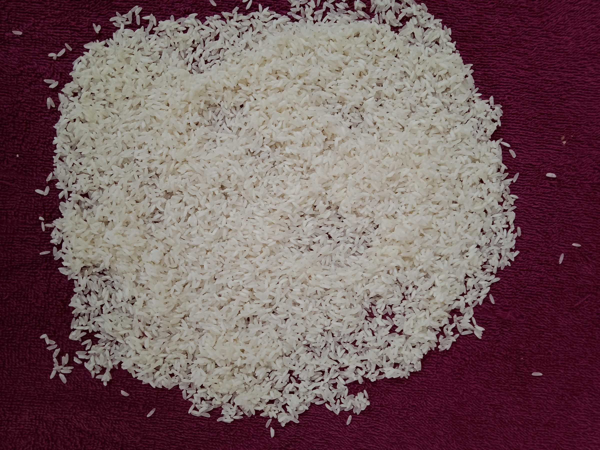 Easy Gluten Free Sponge Cake Using Rice Flour : 12 Steps (with Pictures ...