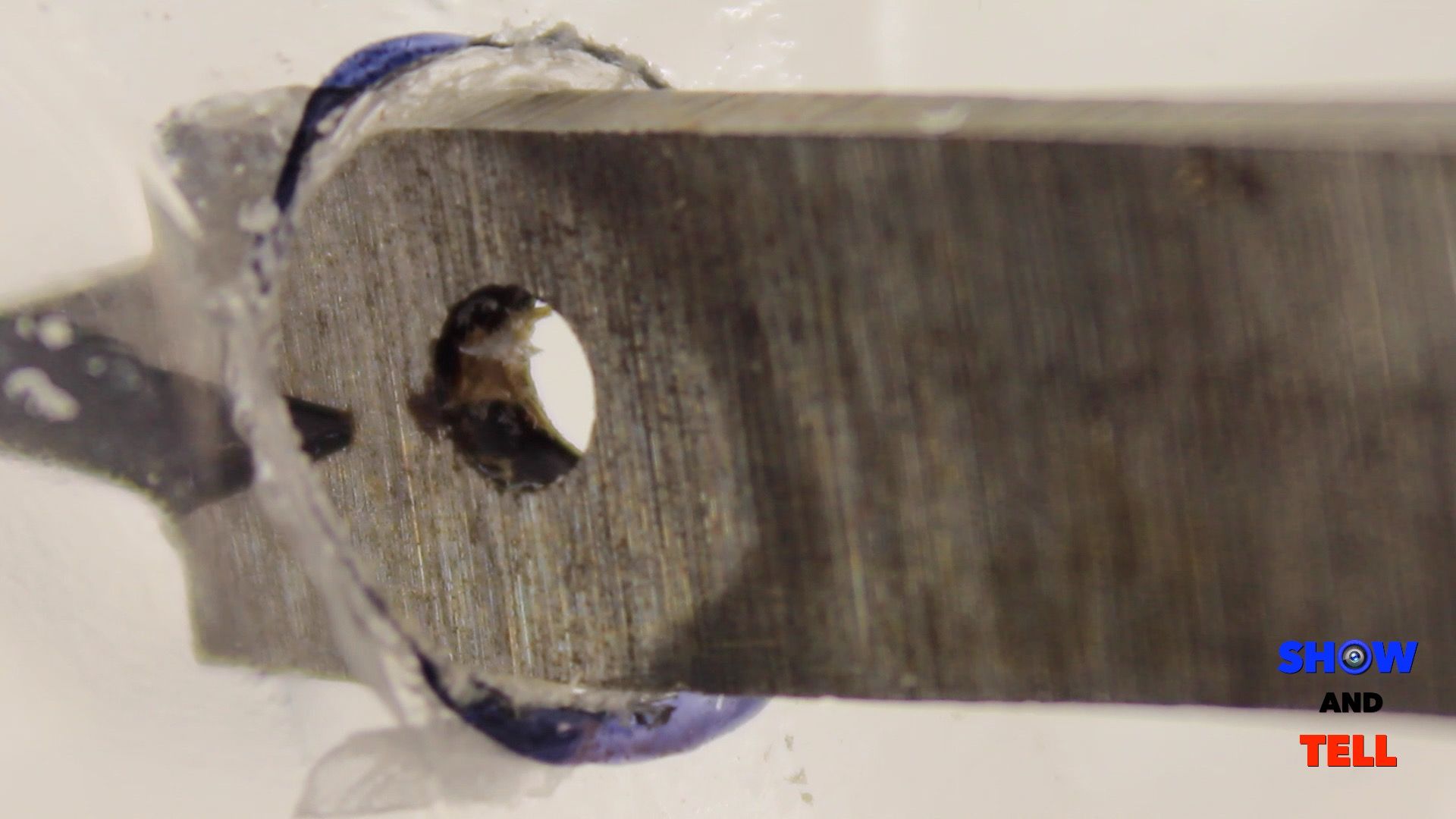 How to Make an Ovitrap Mosquito Trap : 12 Steps (with Pictures ...