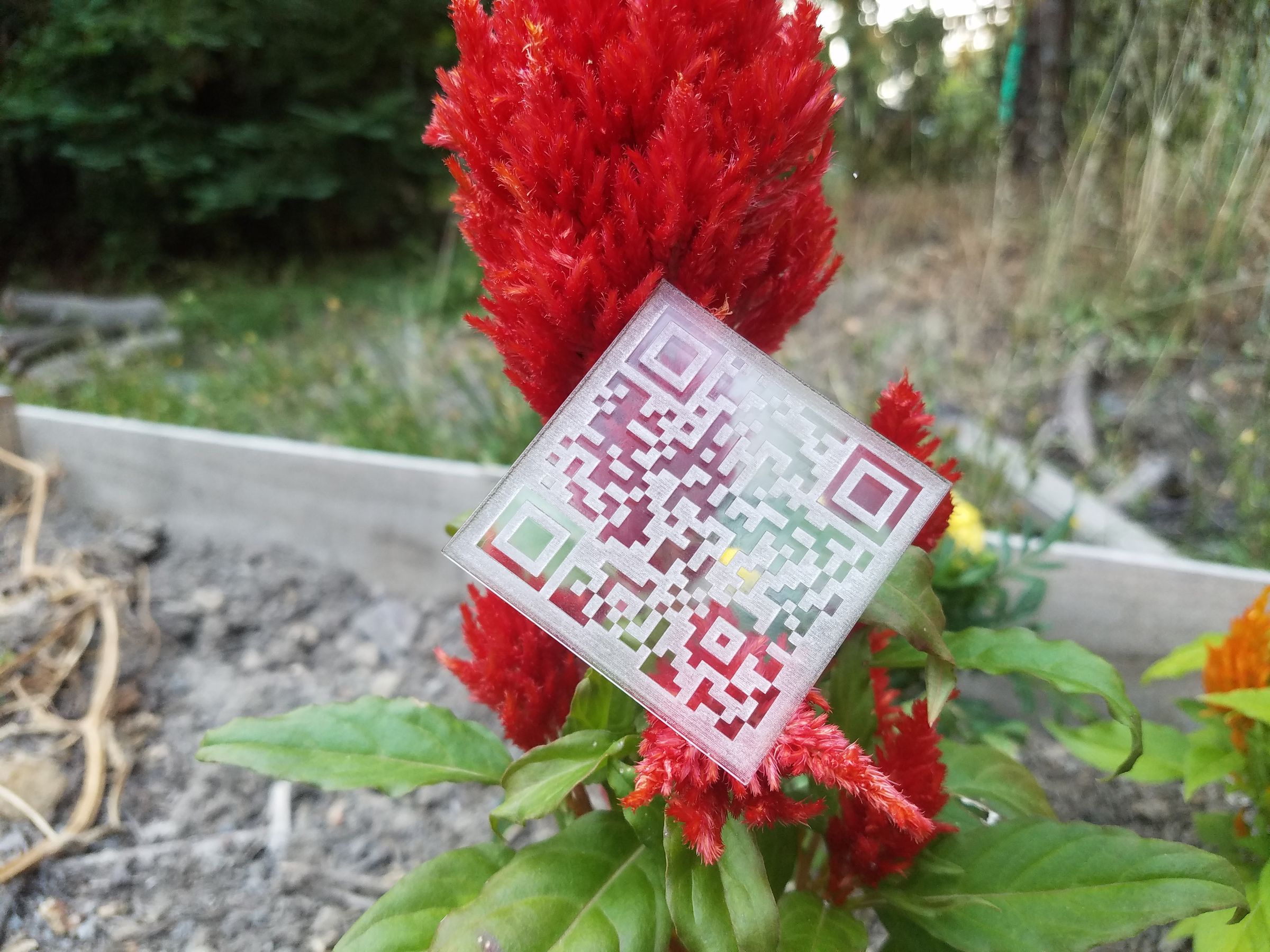 Laser Cut QR Codes : 5 Steps (with Pictures) - Instructables