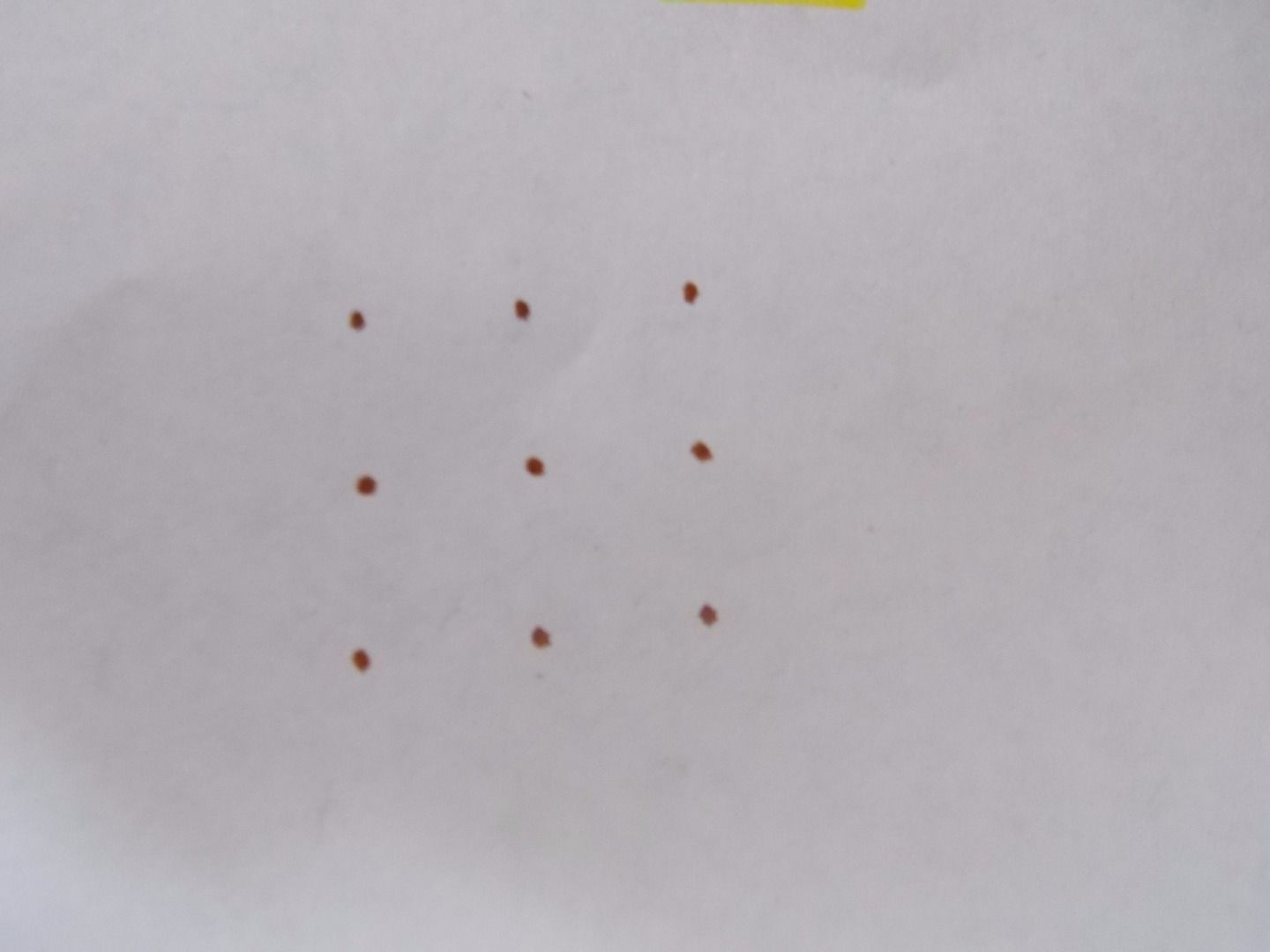 Kambi Kolam : 9 Steps - Instructables