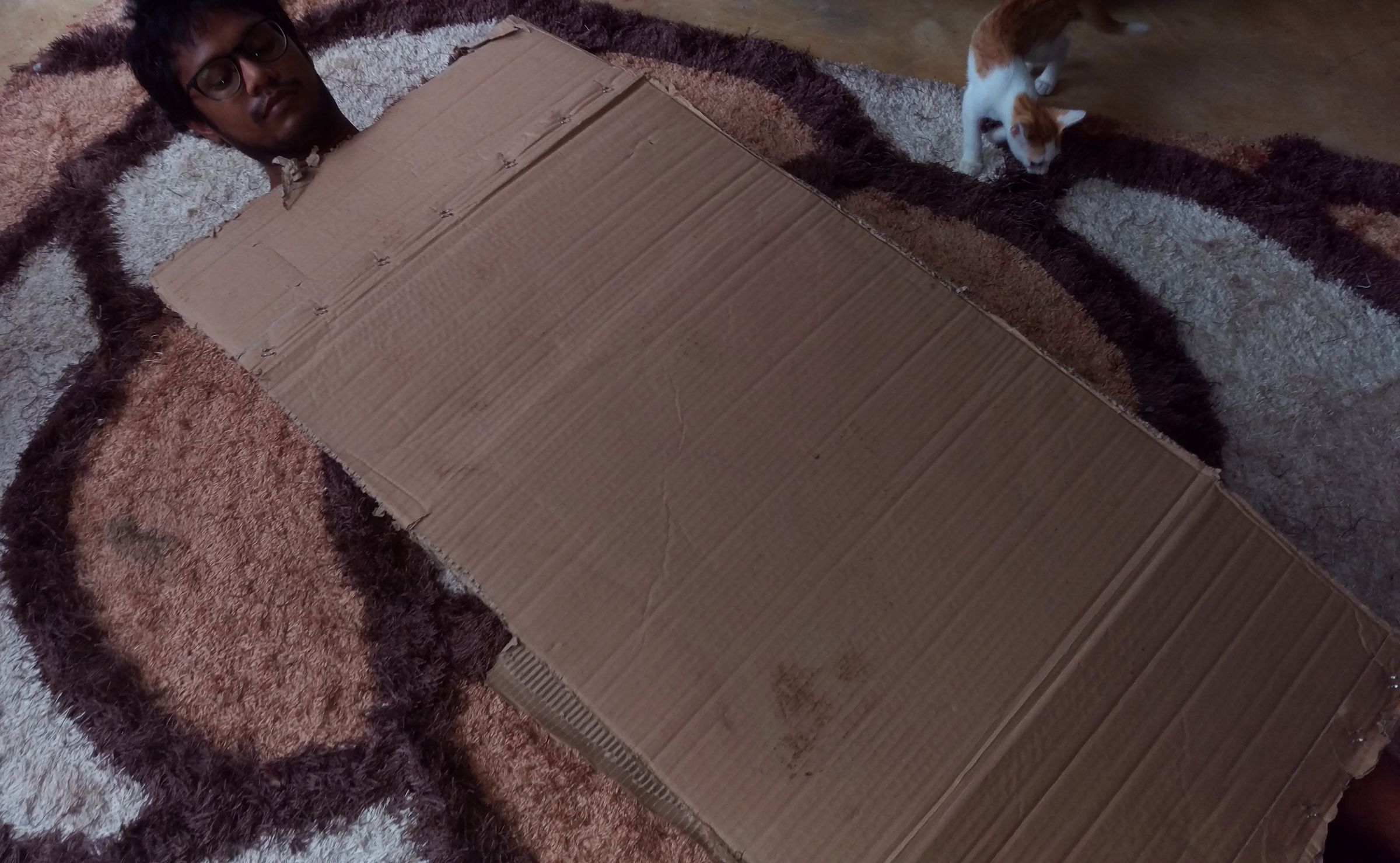 50 Ways to Use Cardboard : 50 Steps - Instructables