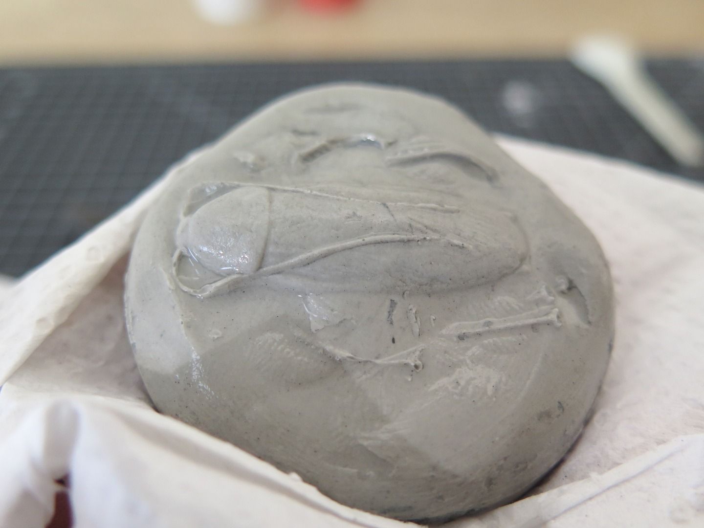 Homemade Fossils! : 5 Steps (with Pictures) - Instructables