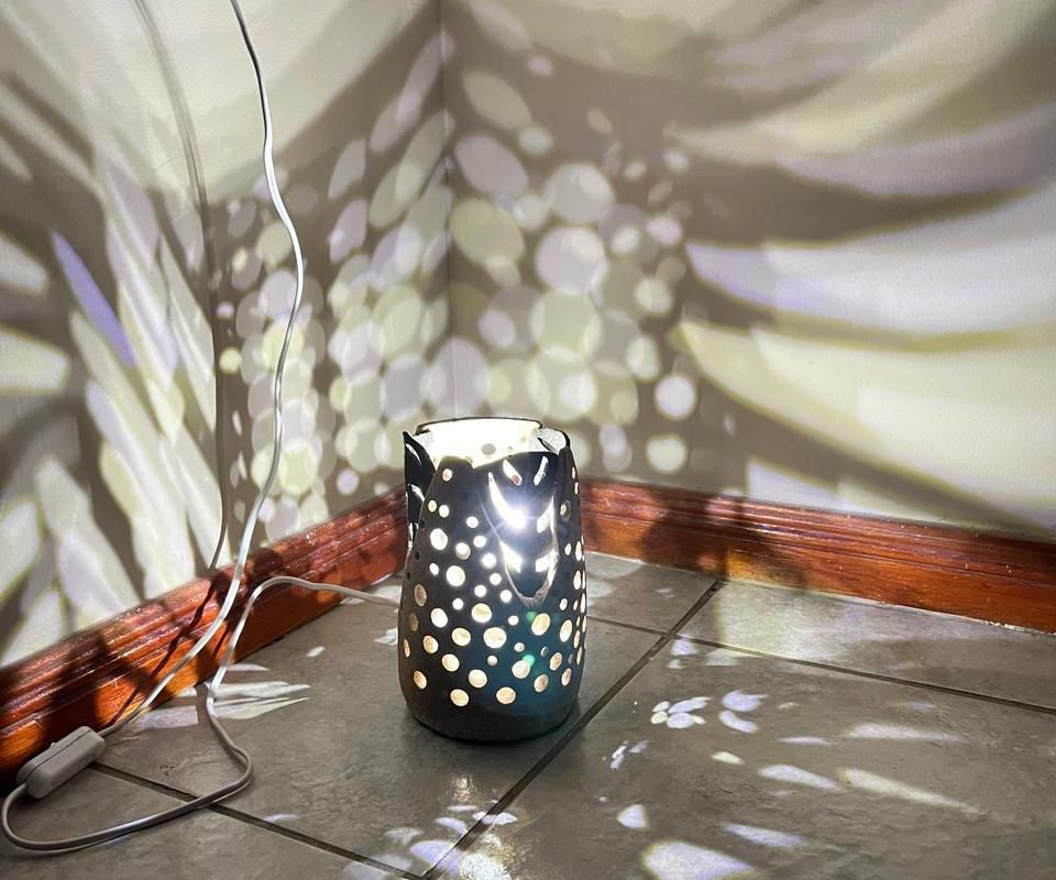 LuminaLee Bio Desk Luminaire : 6 Steps (with Pictures) - Instructables