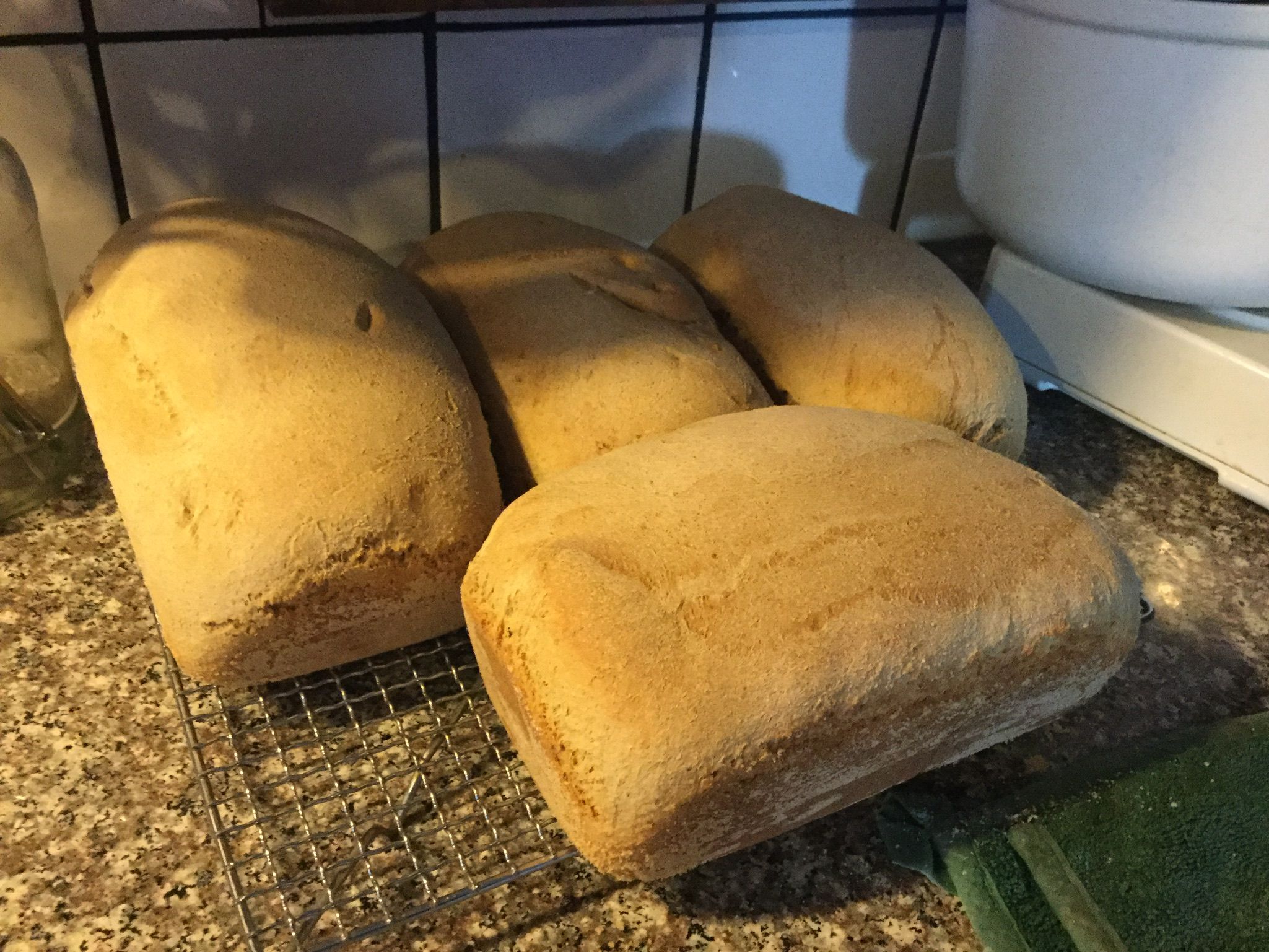 1 Rise Whole Wheat Bread : 9 Steps (with Pictures) - Instructables