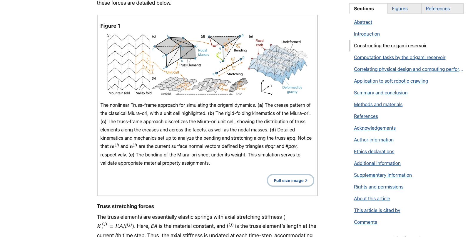 Bridging Boundaries: Unfolding Beauty in Origami - a Transformative ...
