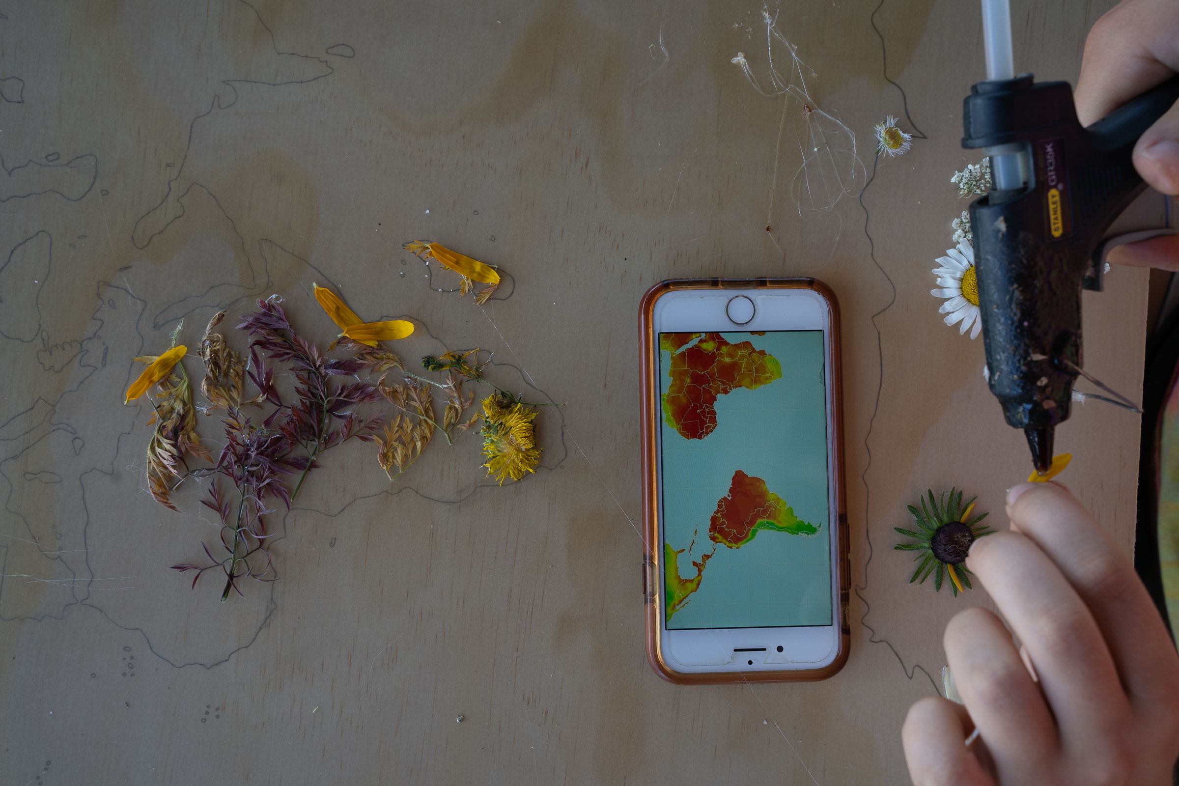 Creating a Map With Flowers + Constructing Your Own Artistic Style : 5 ...