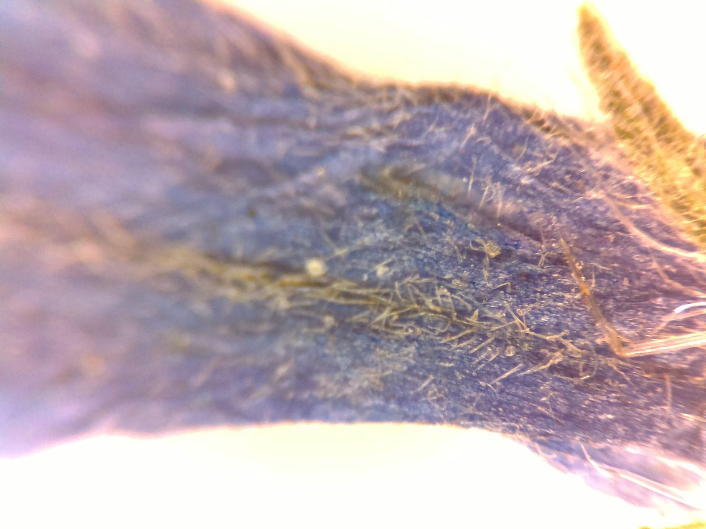 RPiScope: a Raspberry Pi Microscope, Build From Laser Cut Acrylic Parts ...