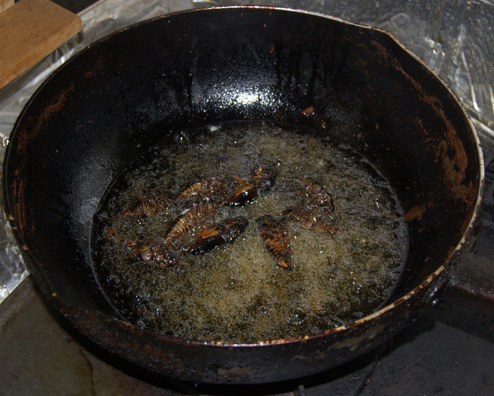 How to Eat Cicada. Get Prepared for Great Famine! : 5 Steps - Instructables