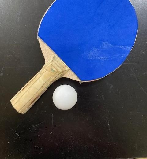 Ping Pong Paddles : 4 Steps - Instructables