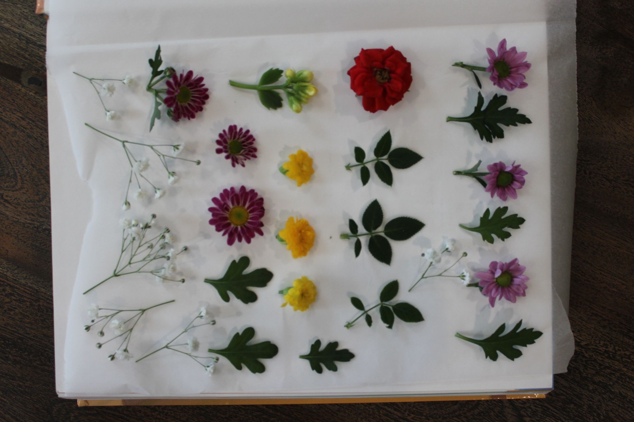 DIY Pressed Flower Card : 7 Steps (with Pictures) - Instructables