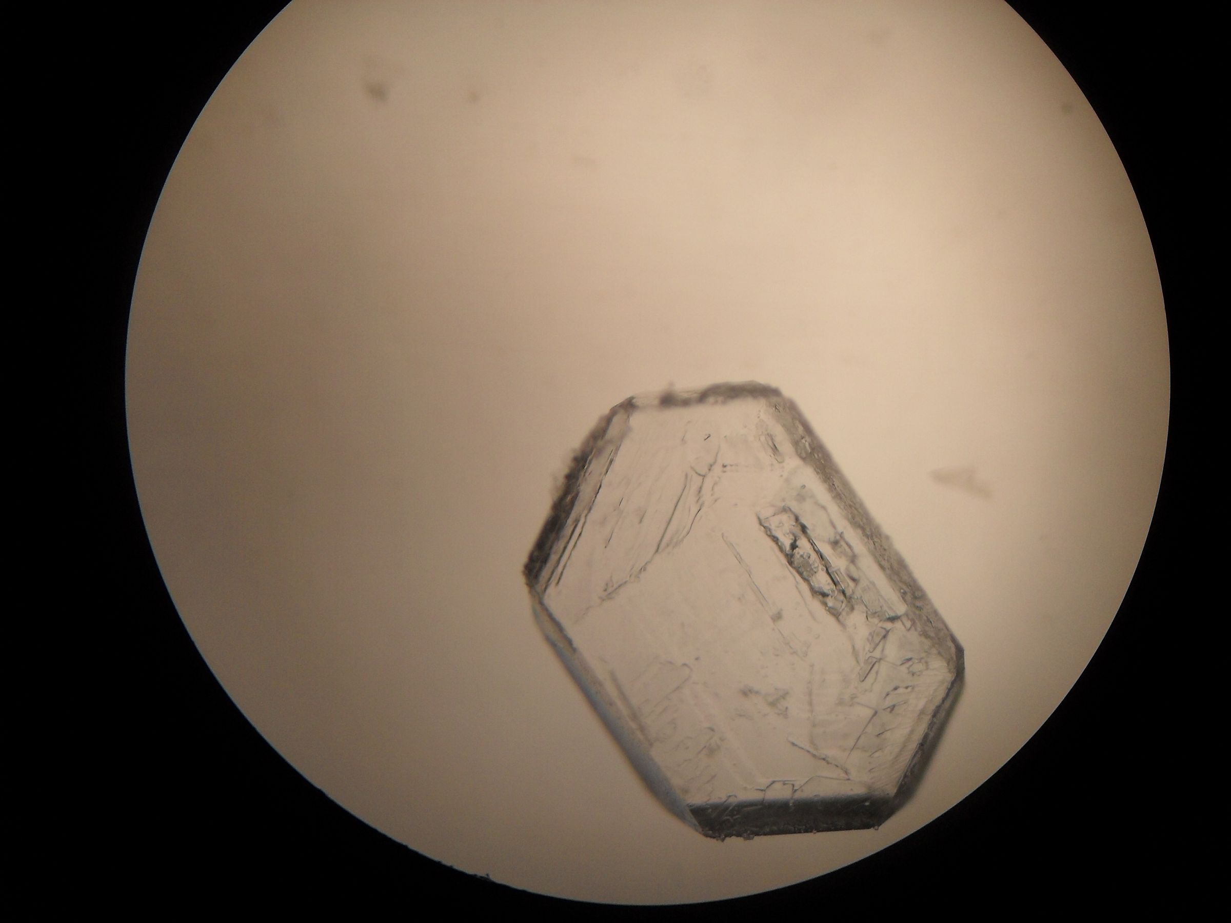 How to Grow Great Crystals : 14 Steps (with Pictures) - Instructables